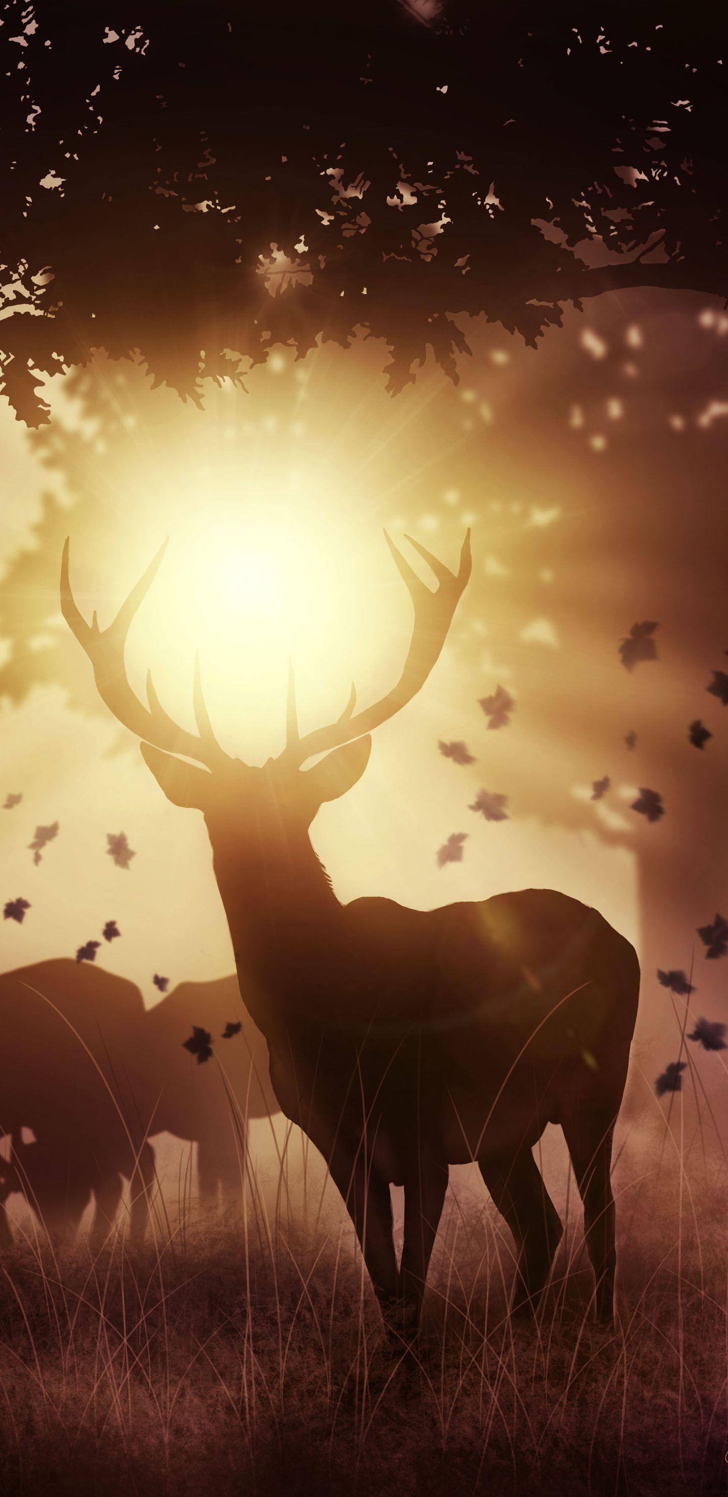 Galaxy Deer Wallpapers - Top Free Galaxy Deer Backgrounds - WallpaperAccess