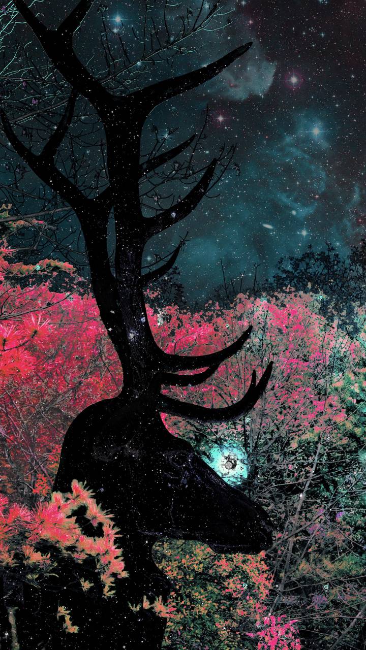 Galaxy Deer Wallpapers - Top Free Galaxy Deer Backgrounds - WallpaperAccess