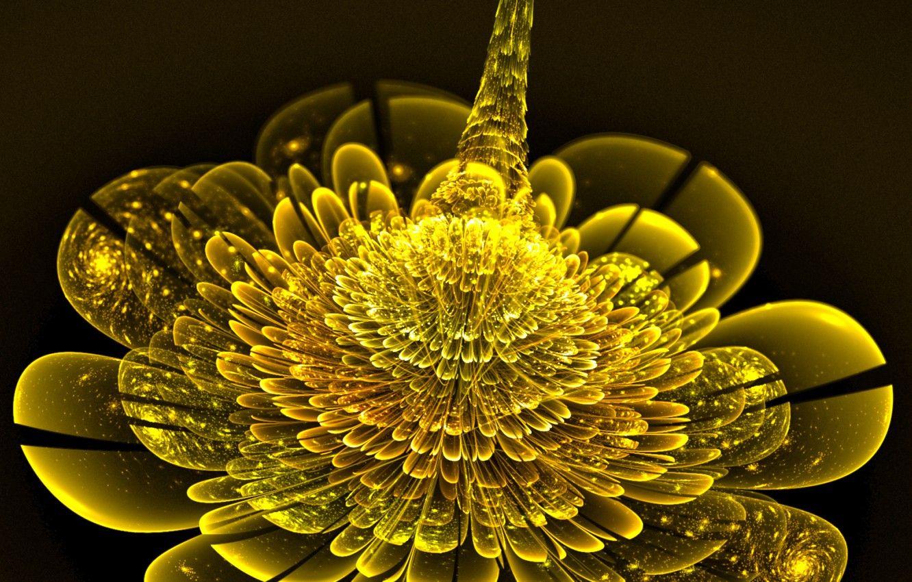 Fractal Flower Wallpapers - Top Free Fractal Flower Backgrounds ...