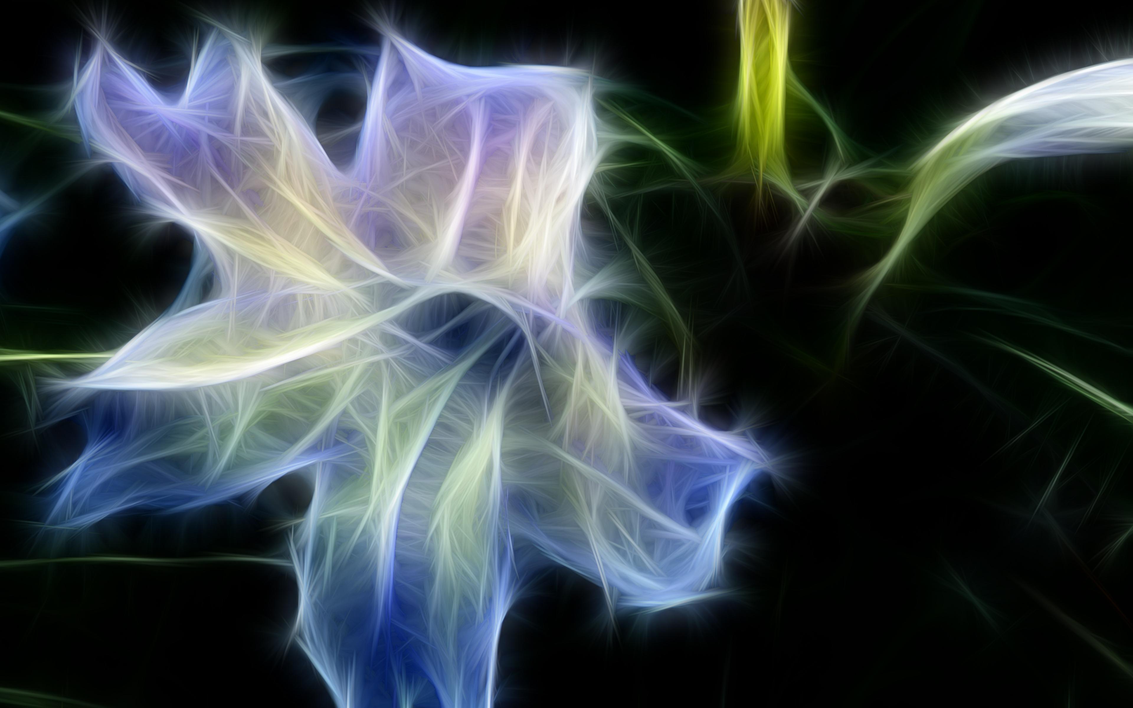 Fractal Flower Wallpapers - Top Free Fractal Flower Backgrounds ...