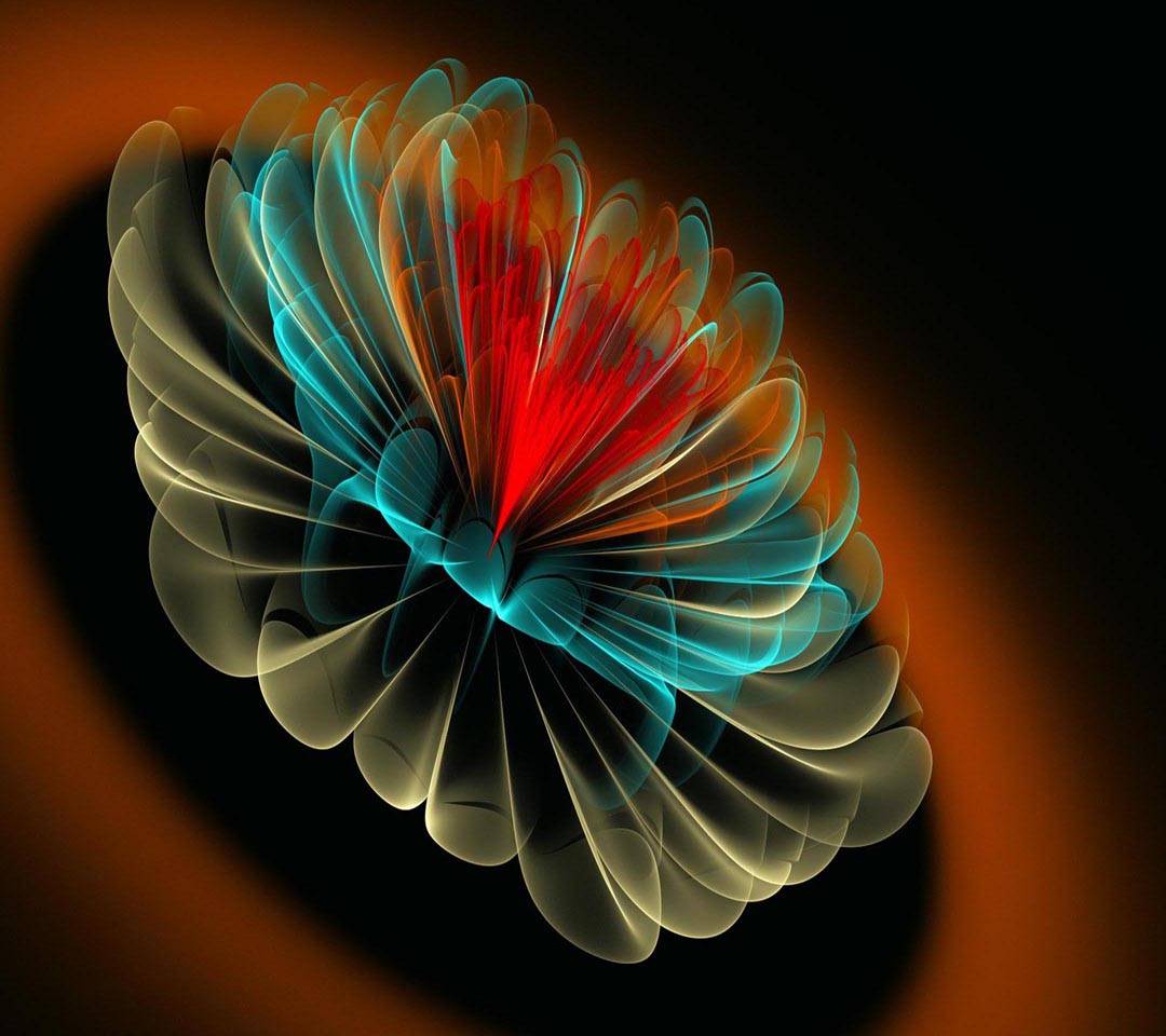 Fractal Flower Wallpapers - Top Free Fractal Flower Backgrounds ...