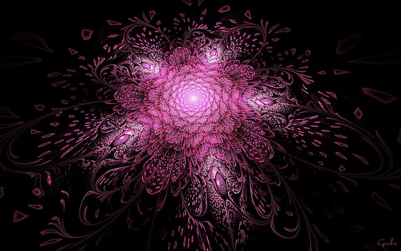 Fractal Flower Wallpapers - Top Free Fractal Flower Backgrounds ...
