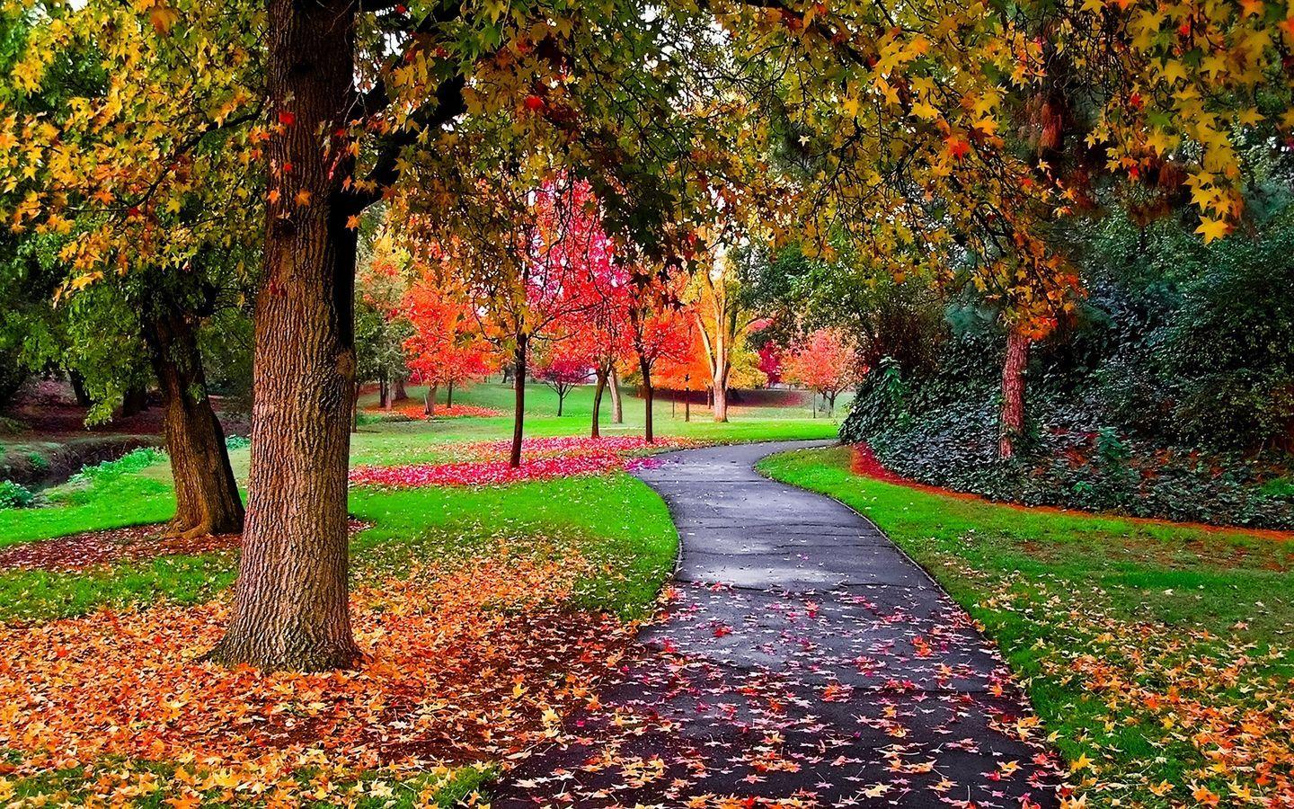 Autumn Park Wallpapers - Top Free Autumn Park Backgrounds - WallpaperAccess