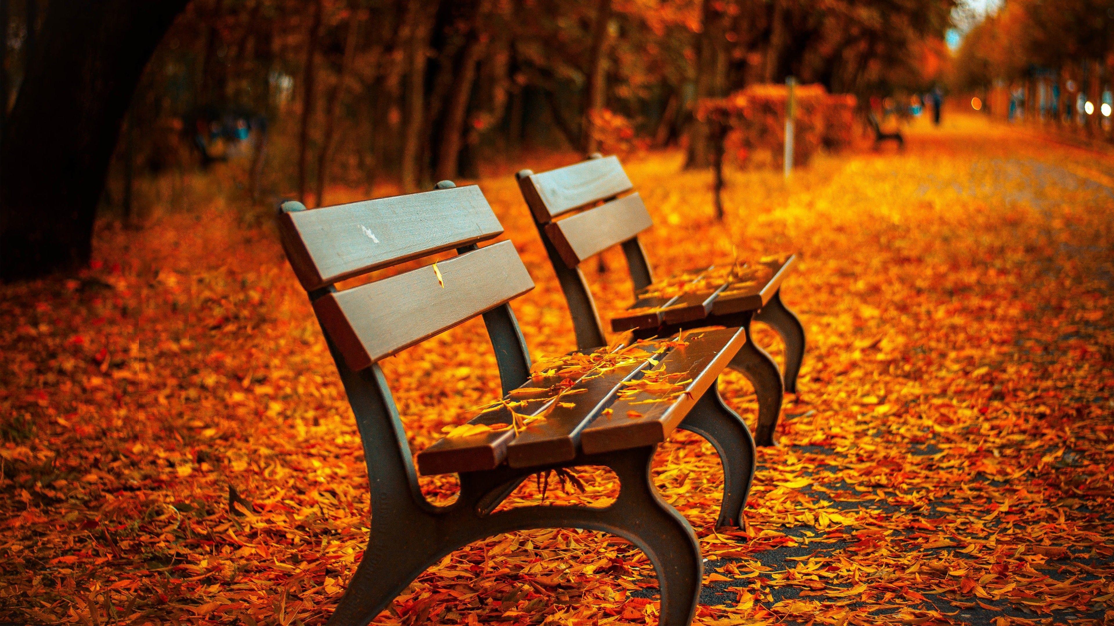 Autumn Park Wallpapers - Top Free Autumn Park Backgrounds - WallpaperAccess