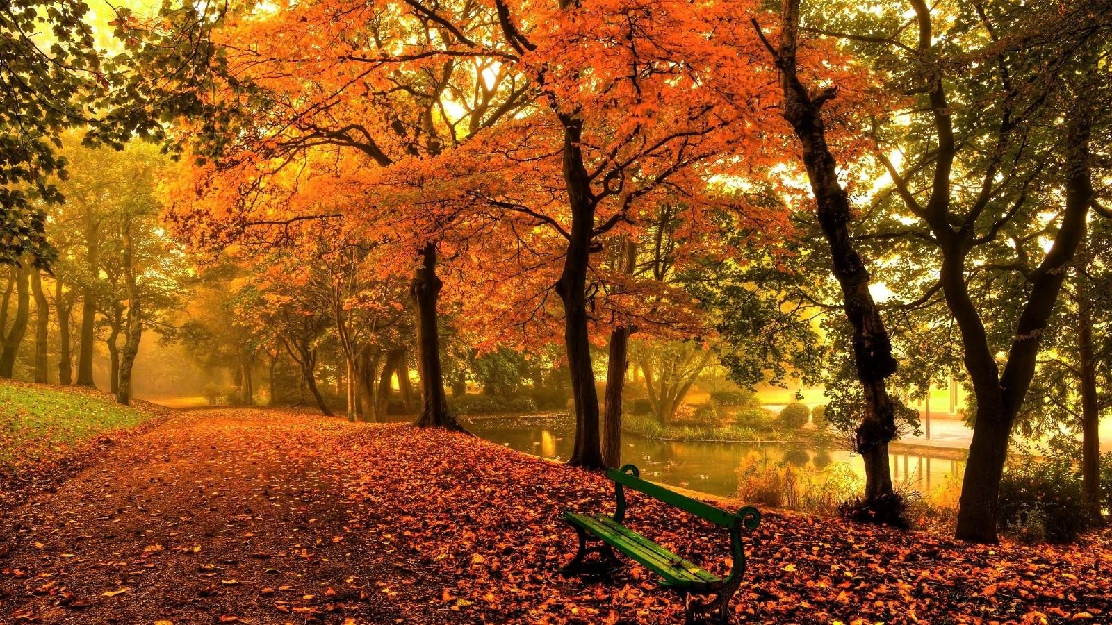 Autumn Park Wallpapers - Top Free Autumn Park Backgrounds - WallpaperAccess