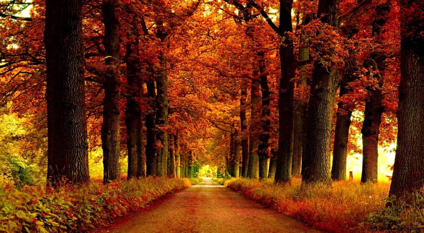 Autumn Park Wallpapers - Top Free Autumn Park Backgrounds - WallpaperAccess