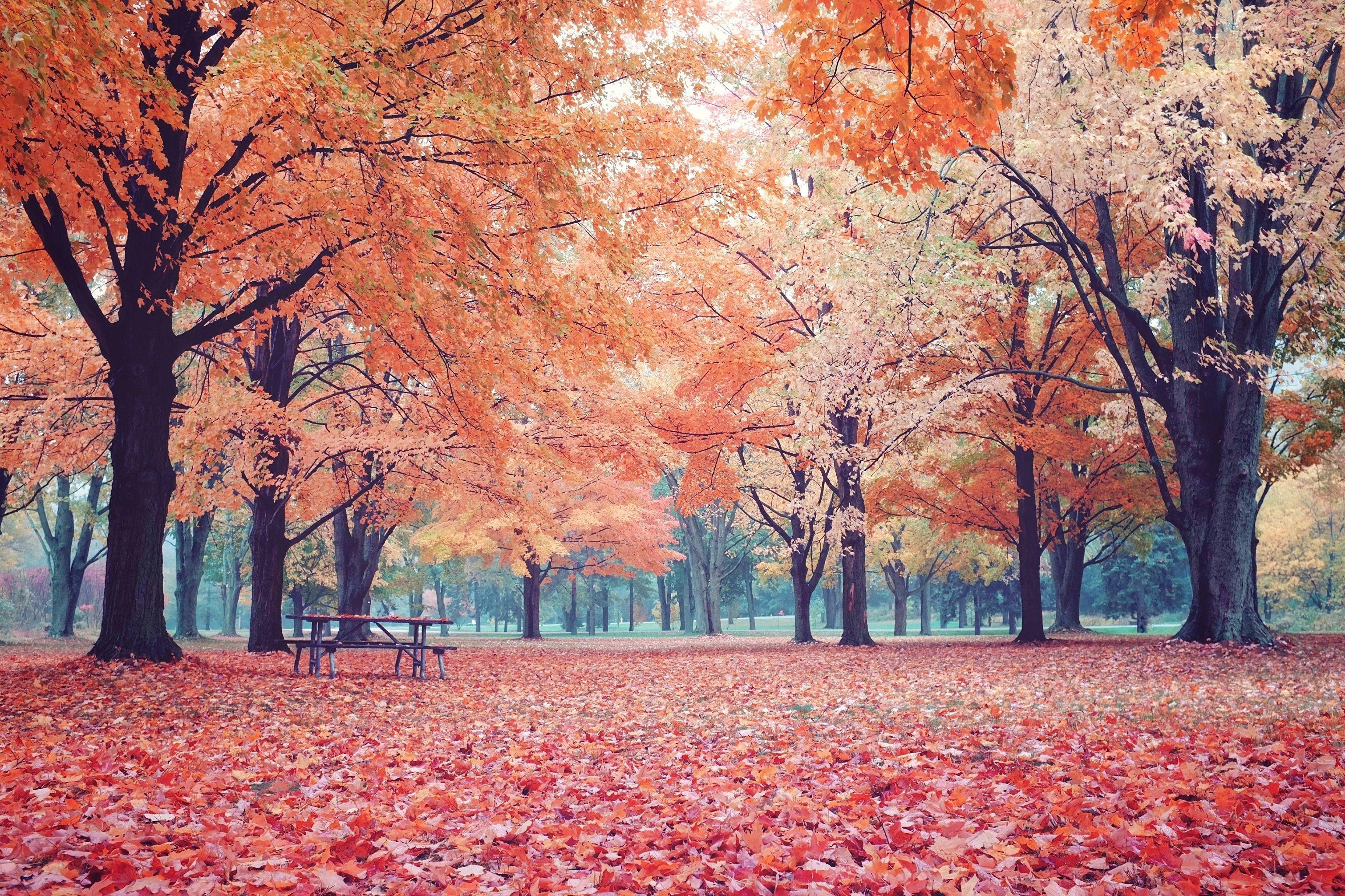 Canadian Autumn Wallpapers - Top Free Canadian Autumn Backgrounds ...