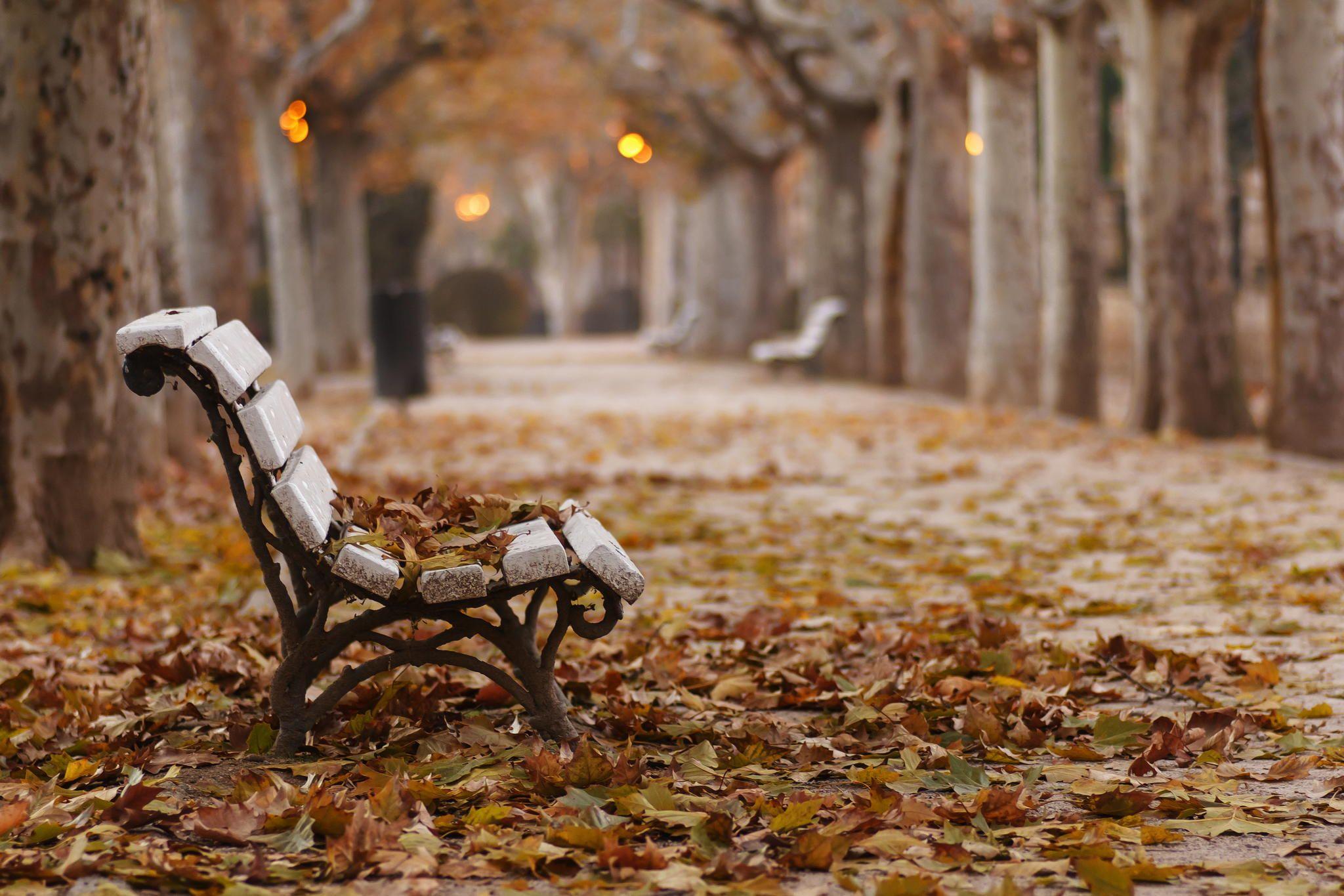 Autumn Park Wallpapers - Top Free Autumn Park Backgrounds - WallpaperAccess