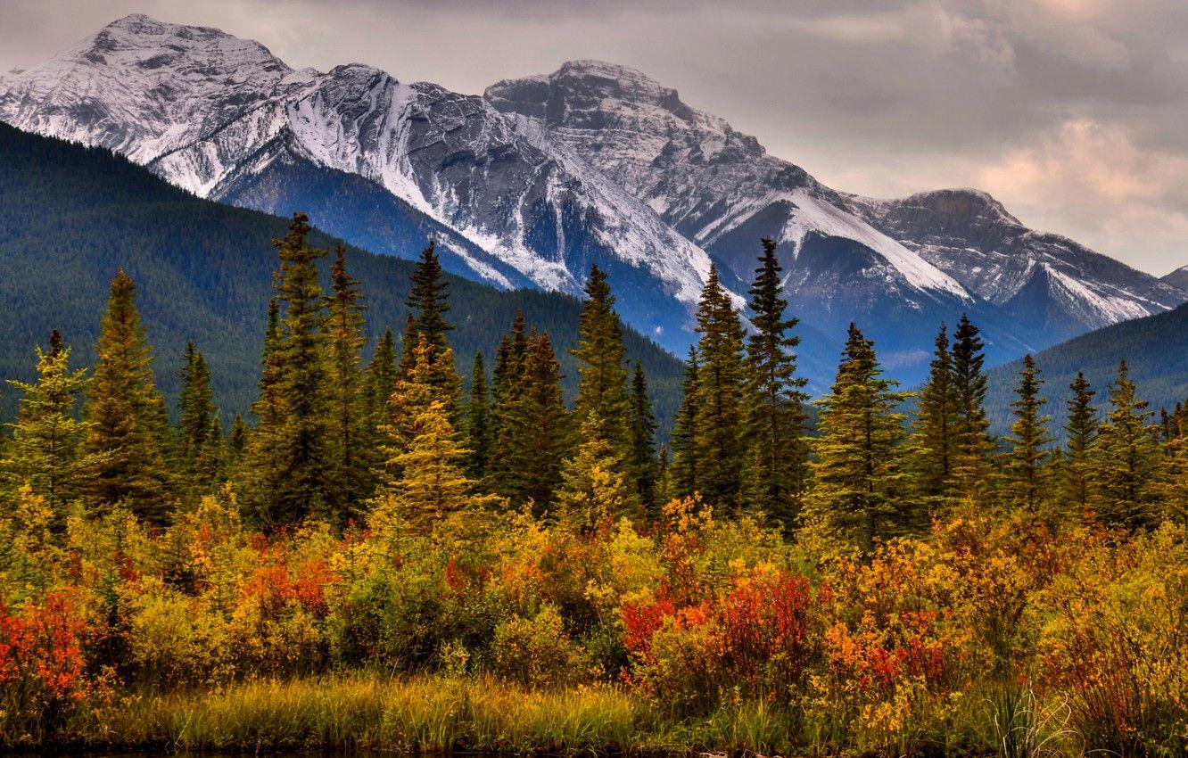 Canadian Autumn Wallpapers - Top Free Canadian Autumn Backgrounds ...