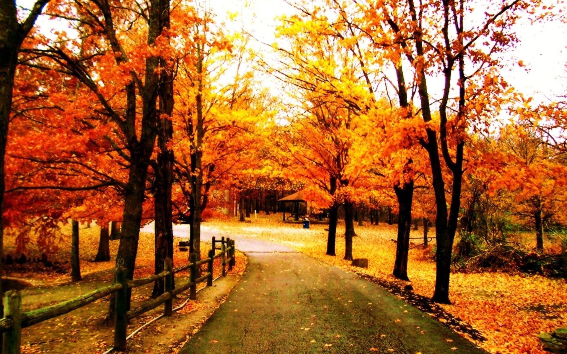 Autumn Park Wallpapers - Top Free Autumn Park Backgrounds - WallpaperAccess
