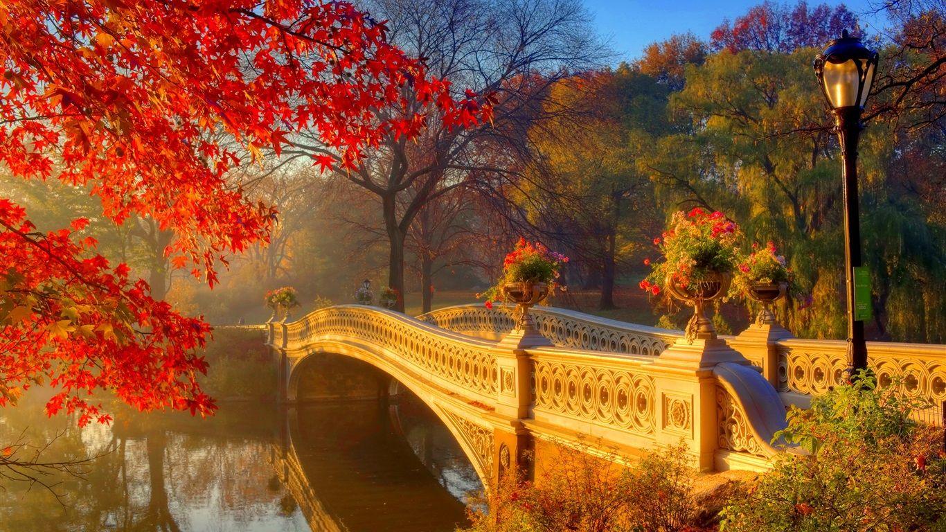 Autumn Park Wallpapers - Top Free Autumn Park Backgrounds - WallpaperAccess