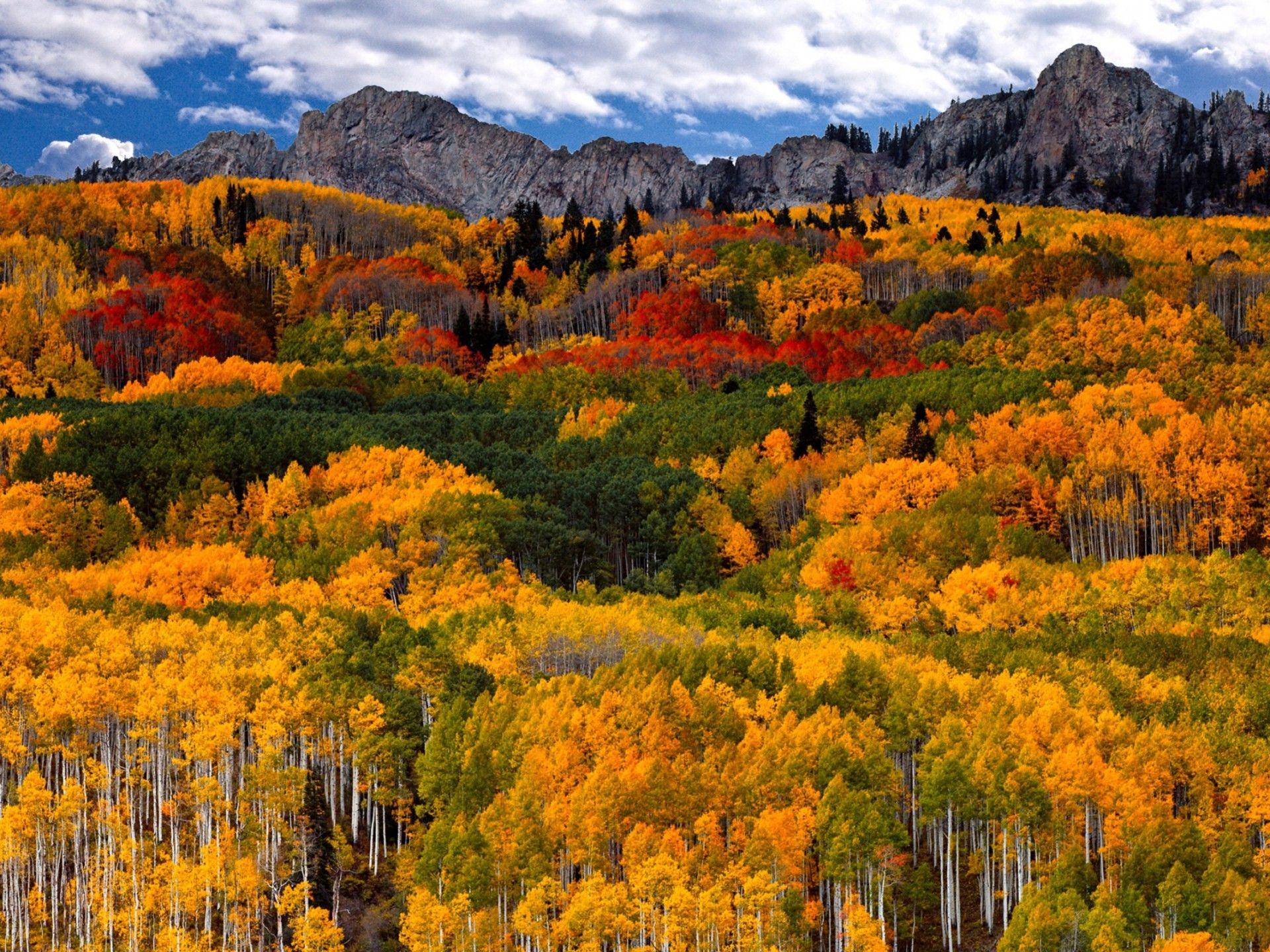 Canadian Autumn Wallpapers - Top Free Canadian Autumn Backgrounds ...