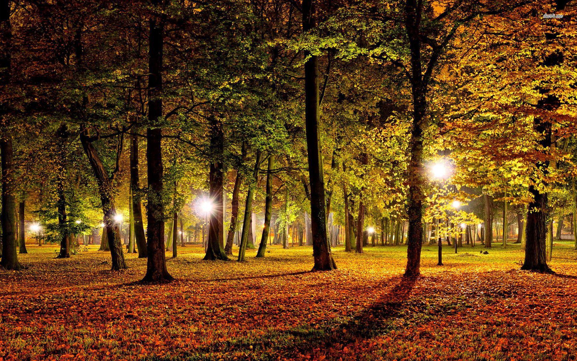 Autumn Park Wallpapers - Top Free Autumn Park Backgrounds - WallpaperAccess