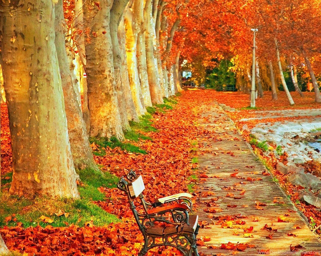 Autumn Park Wallpapers - Top Free Autumn Park Backgrounds - WallpaperAccess