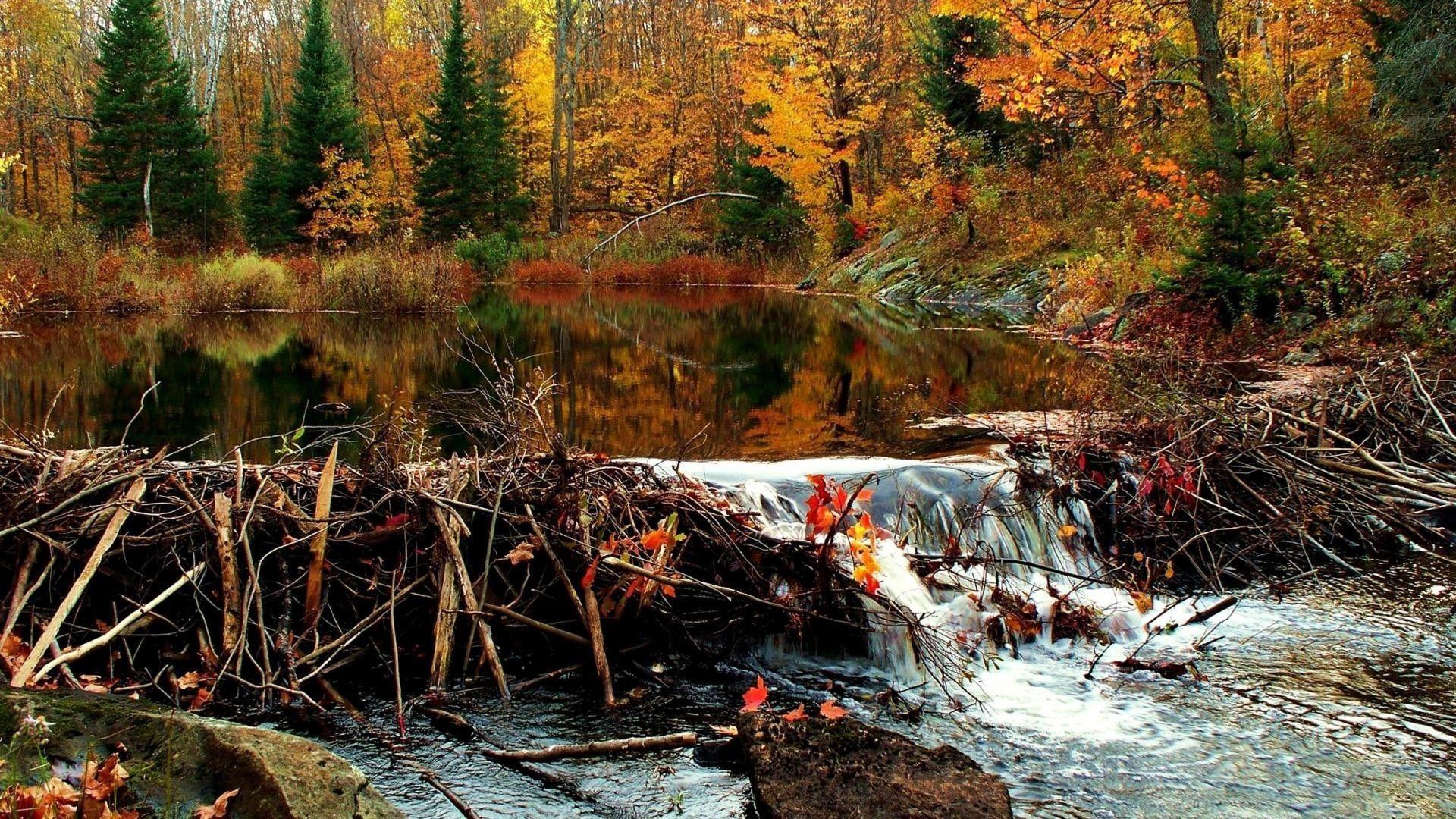 Canadian Autumn Wallpapers - Top Free Canadian Autumn Backgrounds ...
