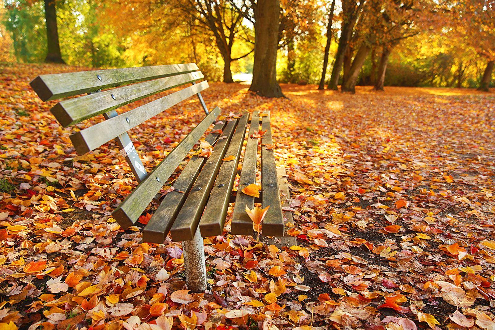 Canadian Autumn Wallpapers - Top Free Canadian Autumn Backgrounds ...