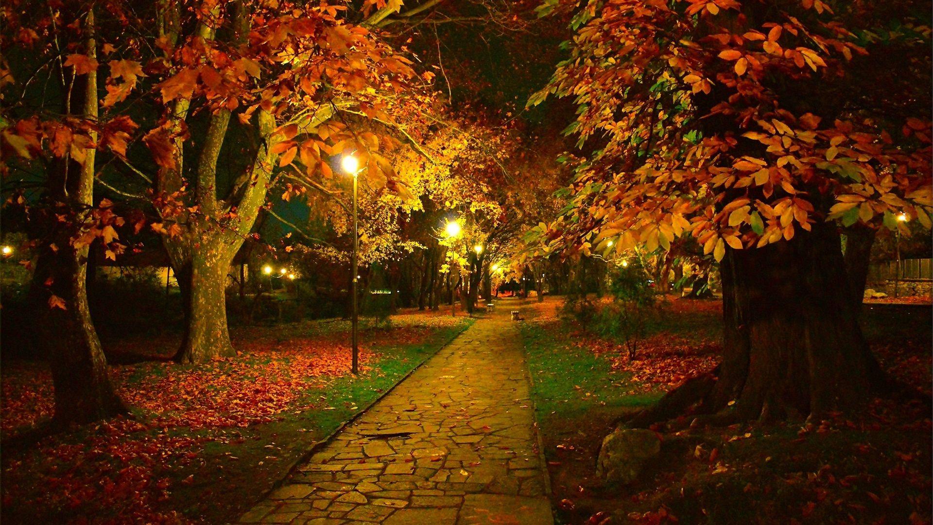 Autumn Trail Wallpapers - Top Free Autumn Trail Backgrounds ...