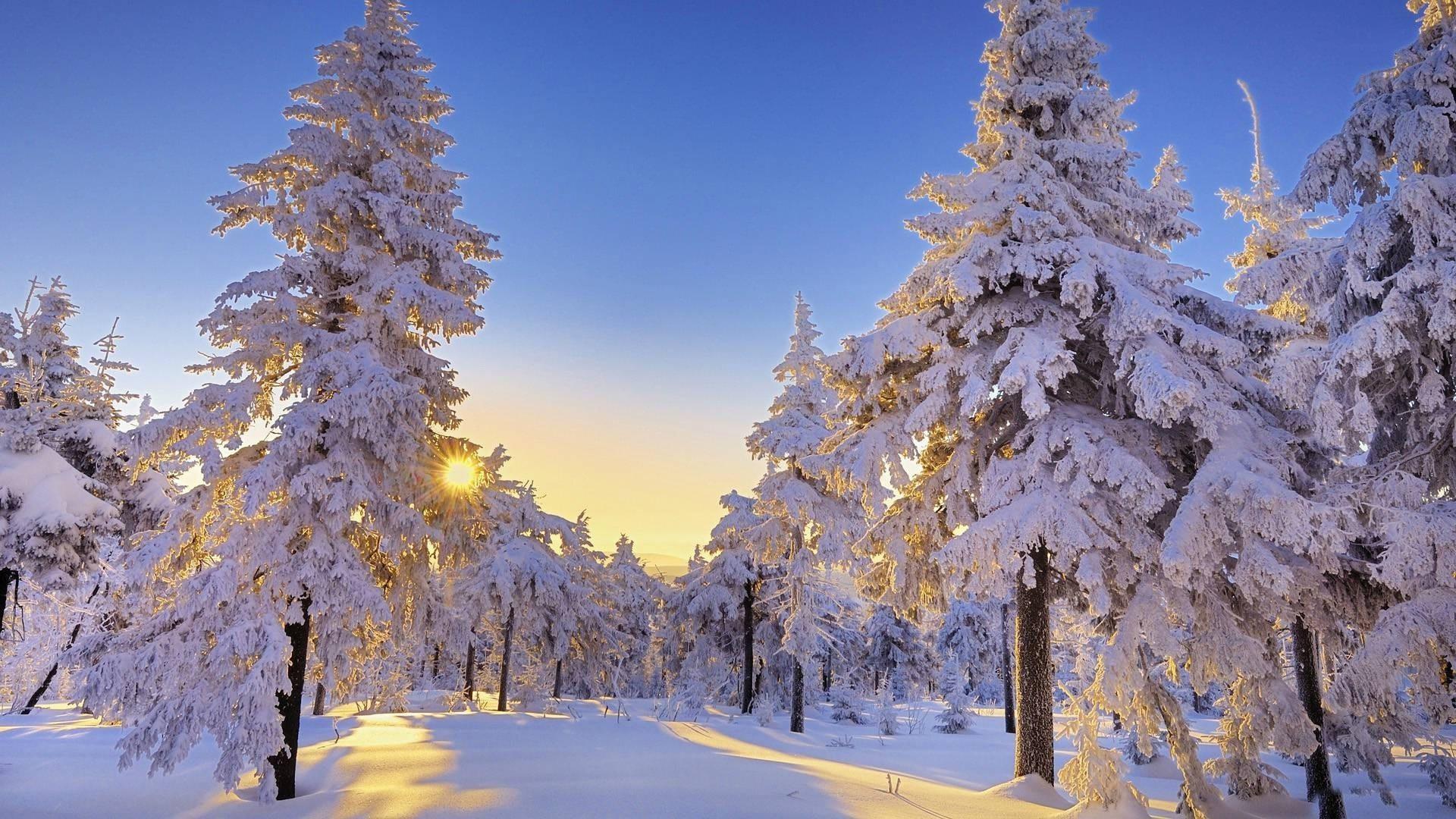 Winter Sunshine Wallpapers - Top Free Winter Sunshine Backgrounds ...