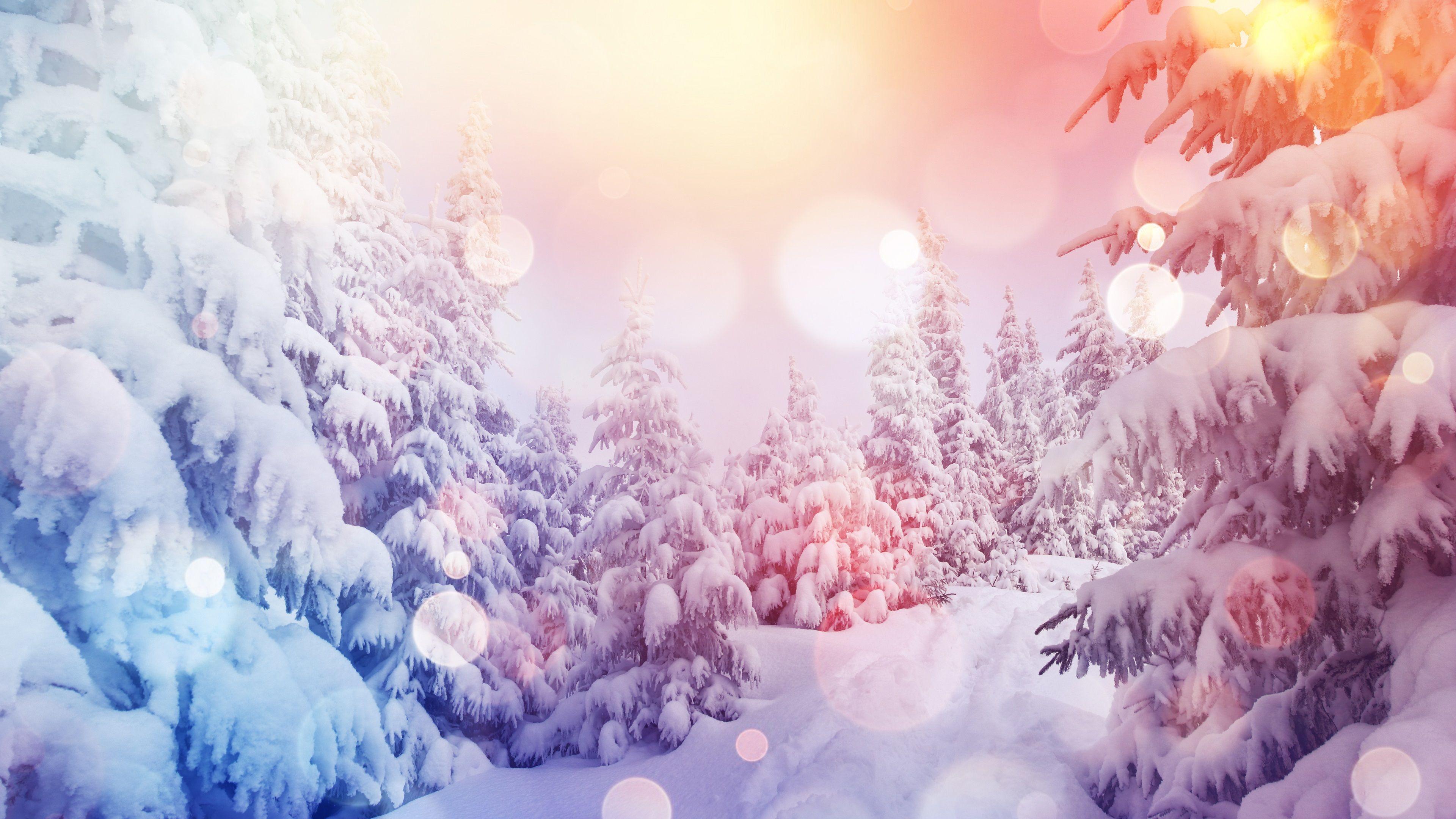 Winter Sunshine Wallpapers - Top Free Winter Sunshine Backgrounds ...