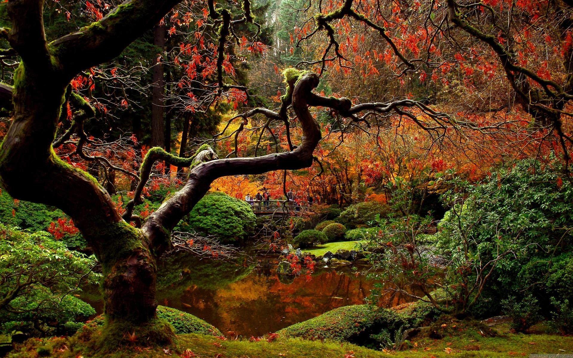 Japanese Tea Garden Wallpapers - Top Free Japanese Tea Garden ...