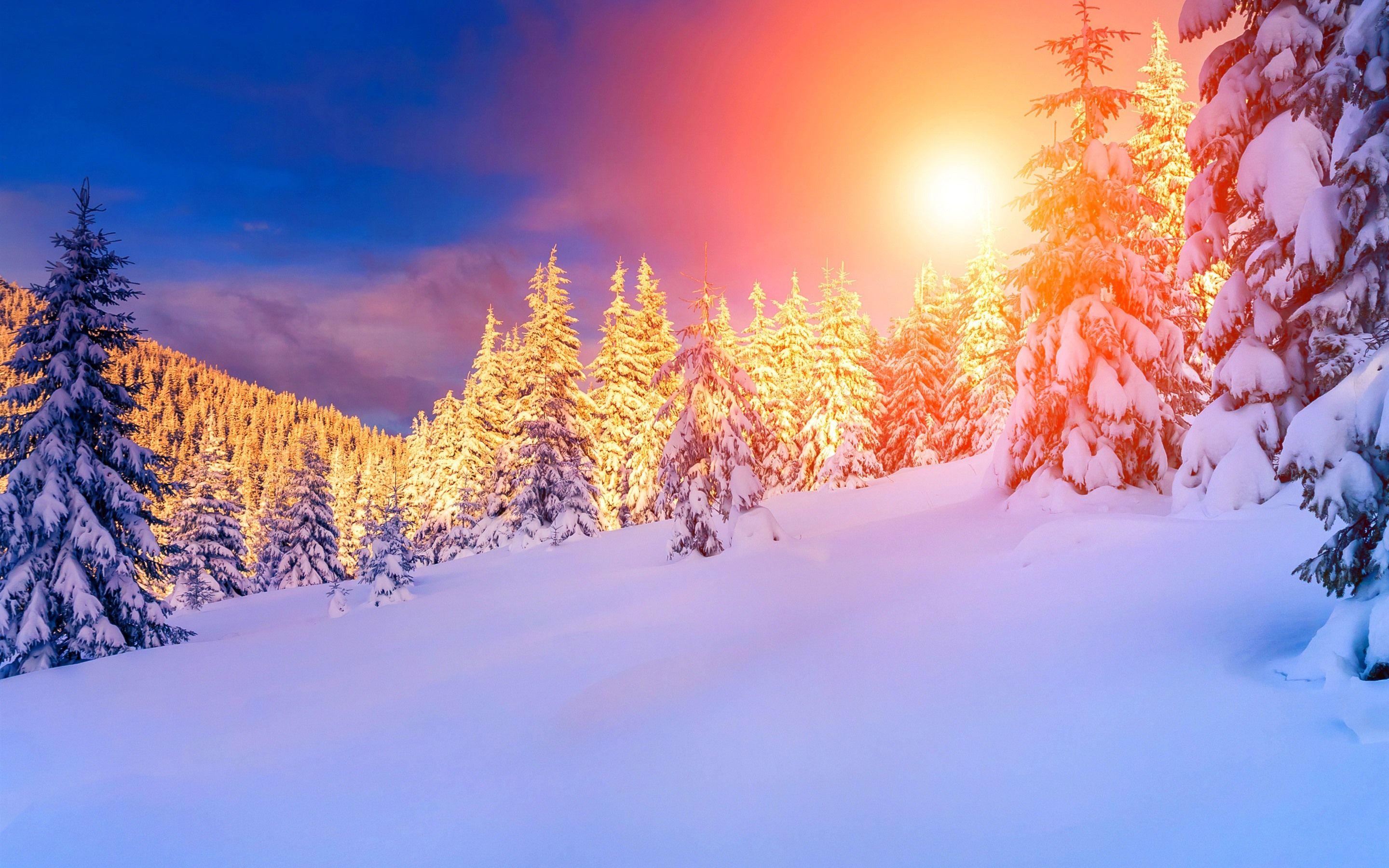Winter Sunshine Wallpapers - Top Free Winter Sunshine Backgrounds ...