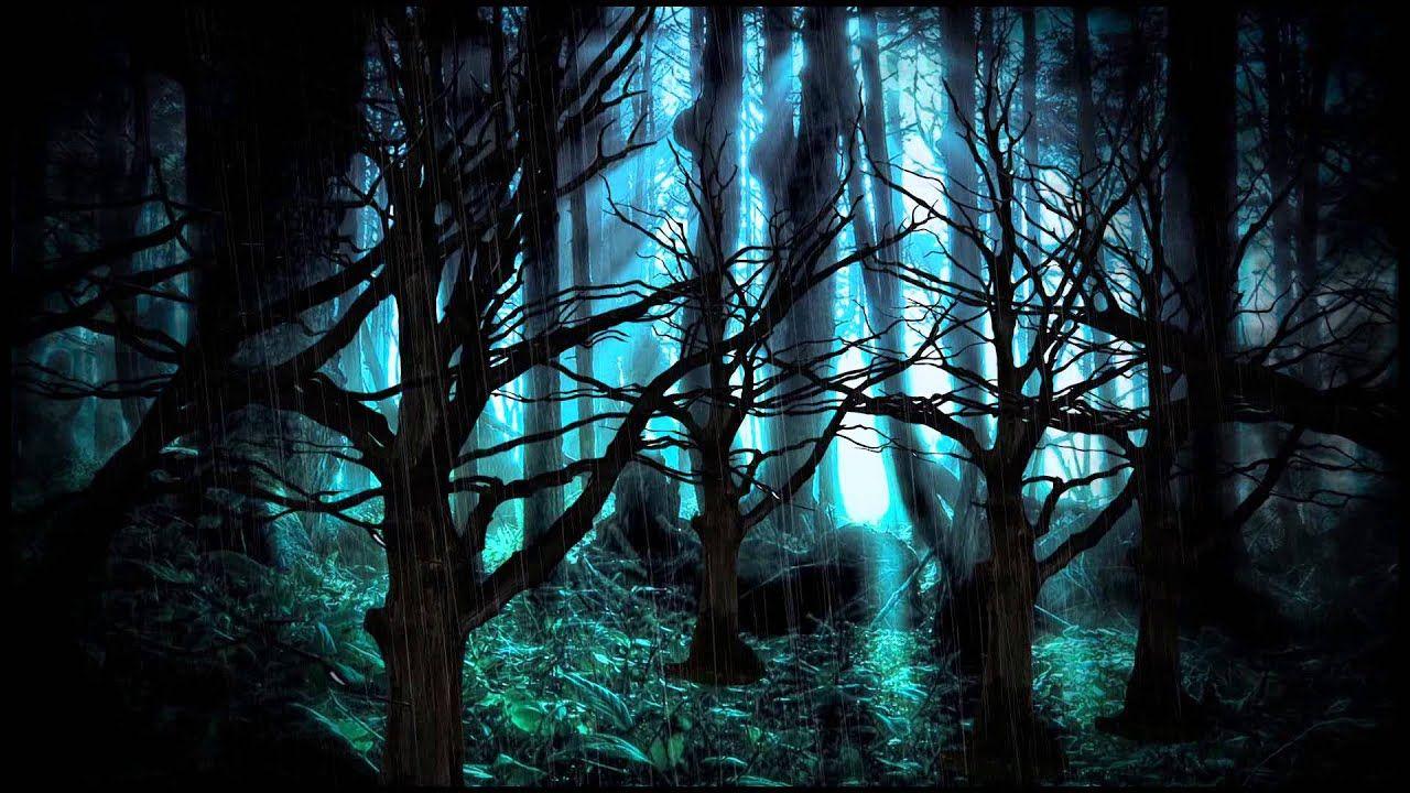 Beautiful Dark Forest Wallpapers - Top Free Beautiful Dark Forest ...