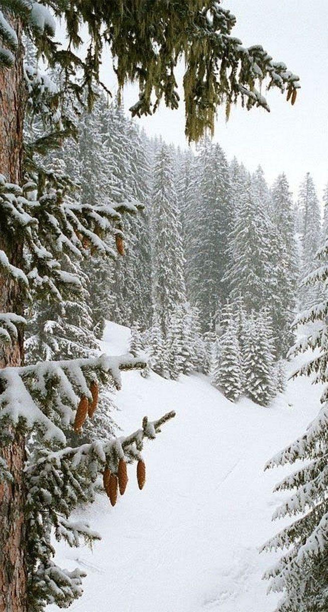 Winter Heart Wallpapers - Top Free Winter Heart Backgrounds ...