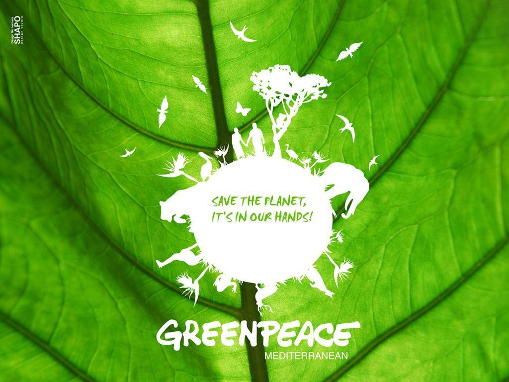 Greenpeace Wallpapers - Top Free Greenpeace Backgrounds - WallpaperAccess