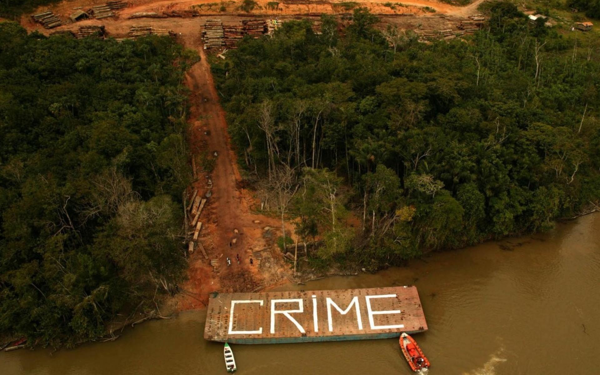 Greenpeace Wallpapers - Top Free Greenpeace Backgrounds - WallpaperAccess