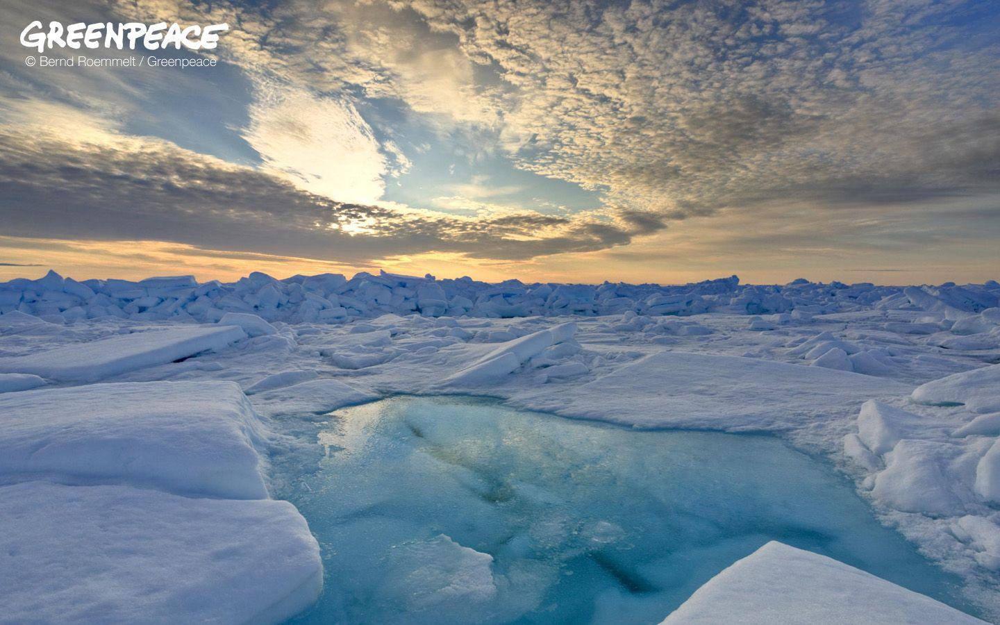 Greenpeace Wallpapers - Top Free Greenpeace Backgrounds - WallpaperAccess