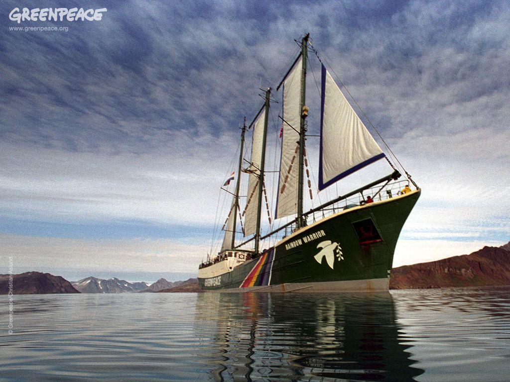 Greenpeace Wallpapers - Top Free Greenpeace Backgrounds - WallpaperAccess
