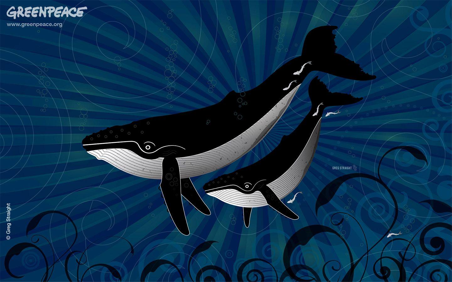 Greenpeace Wallpapers - Top Free Greenpeace Backgrounds - WallpaperAccess