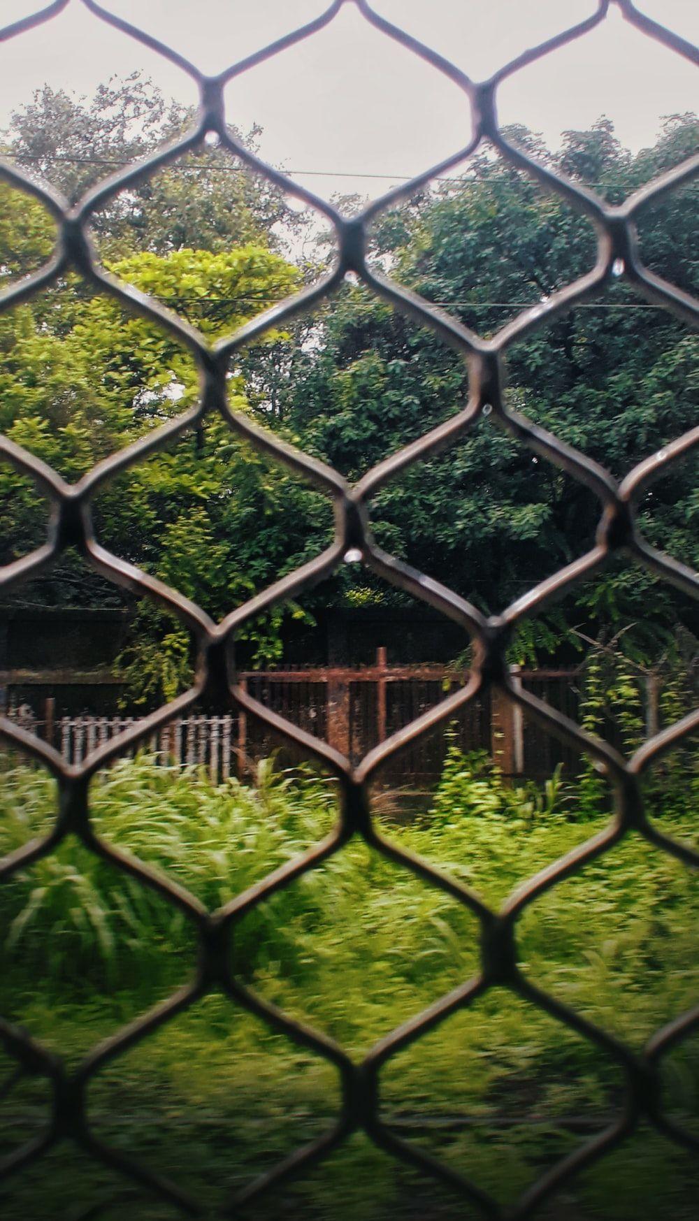 Greenpeace Wallpapers - Top Free Greenpeace Backgrounds - WallpaperAccess