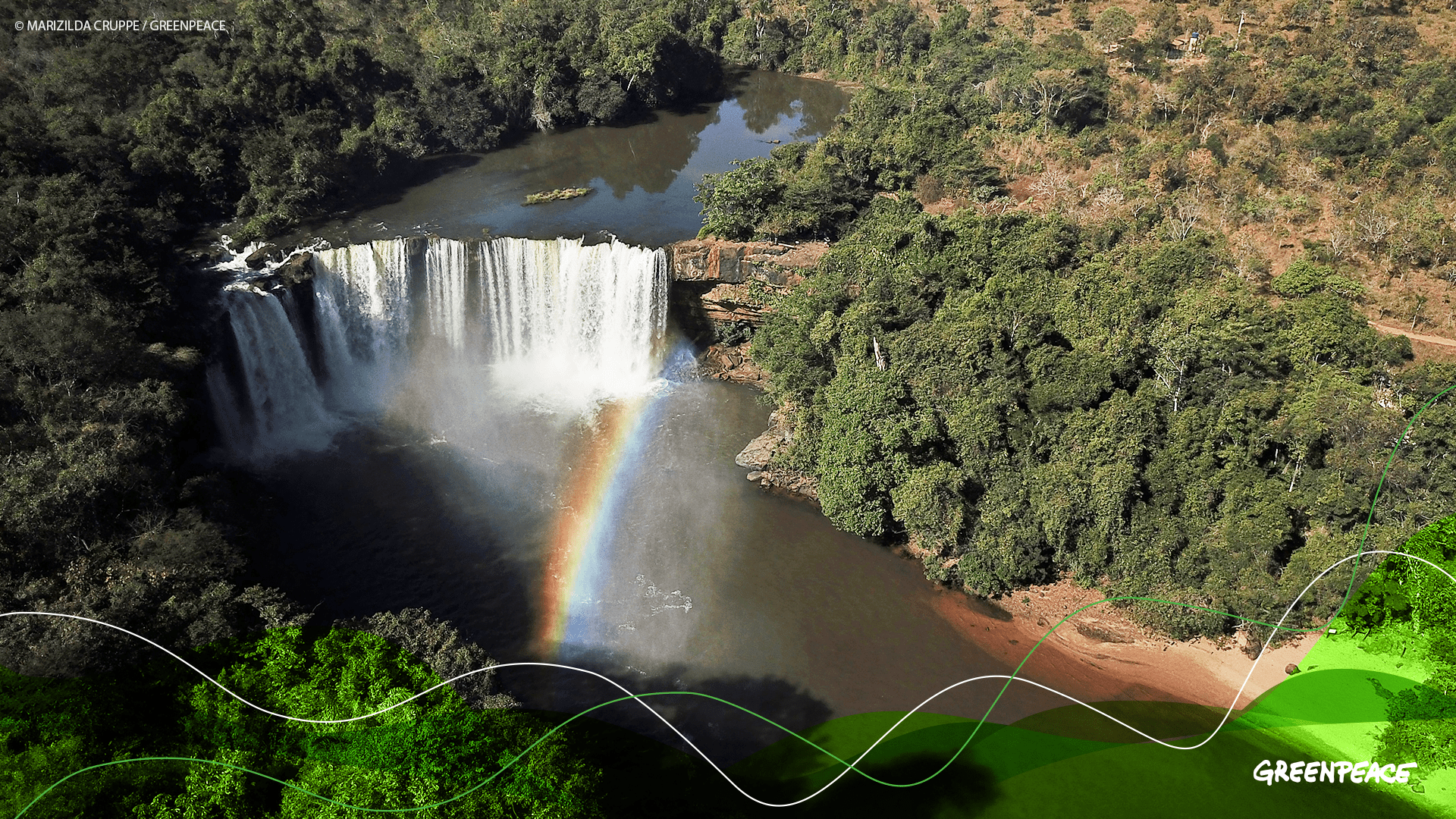 Greenpeace Wallpapers - Top Free Greenpeace Backgrounds - WallpaperAccess