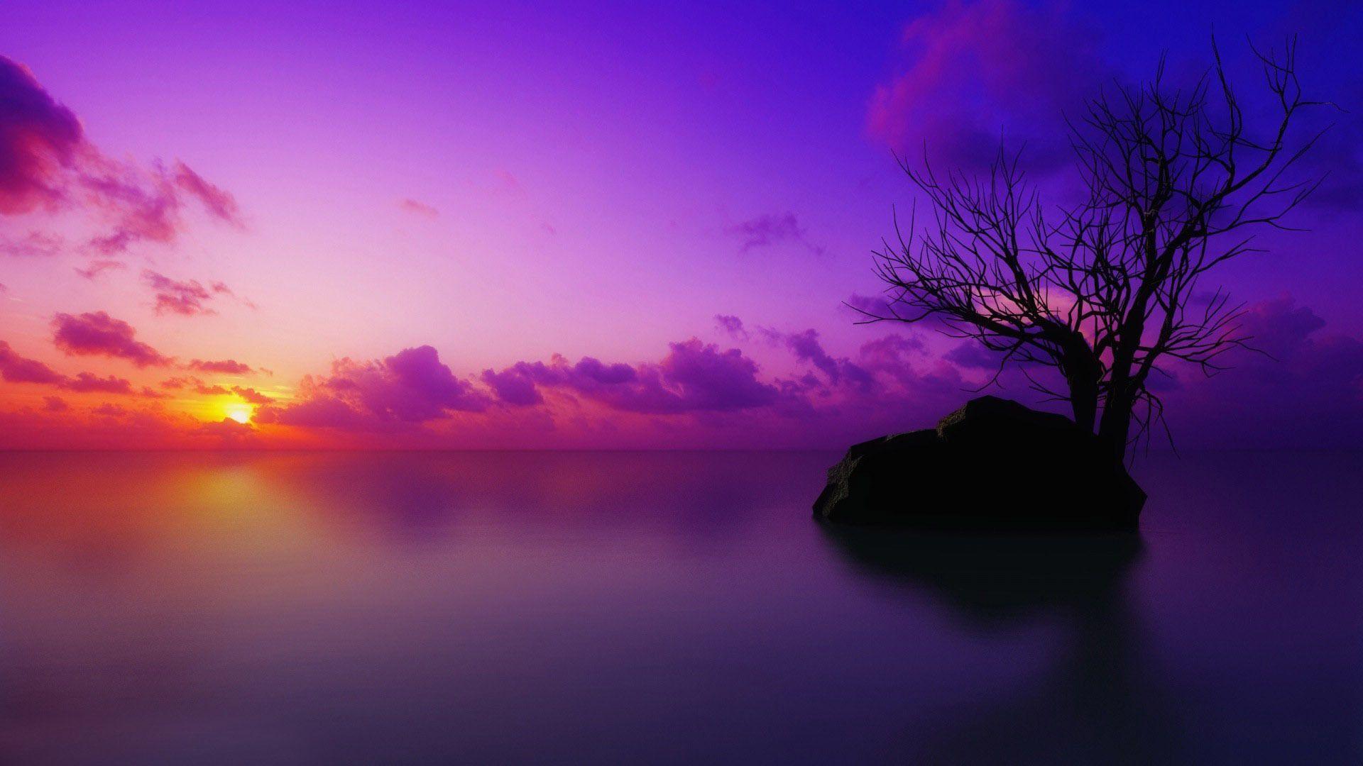 Purple Ocean Sunset Wallpapers - Top Free Purple Ocean Sunset ...