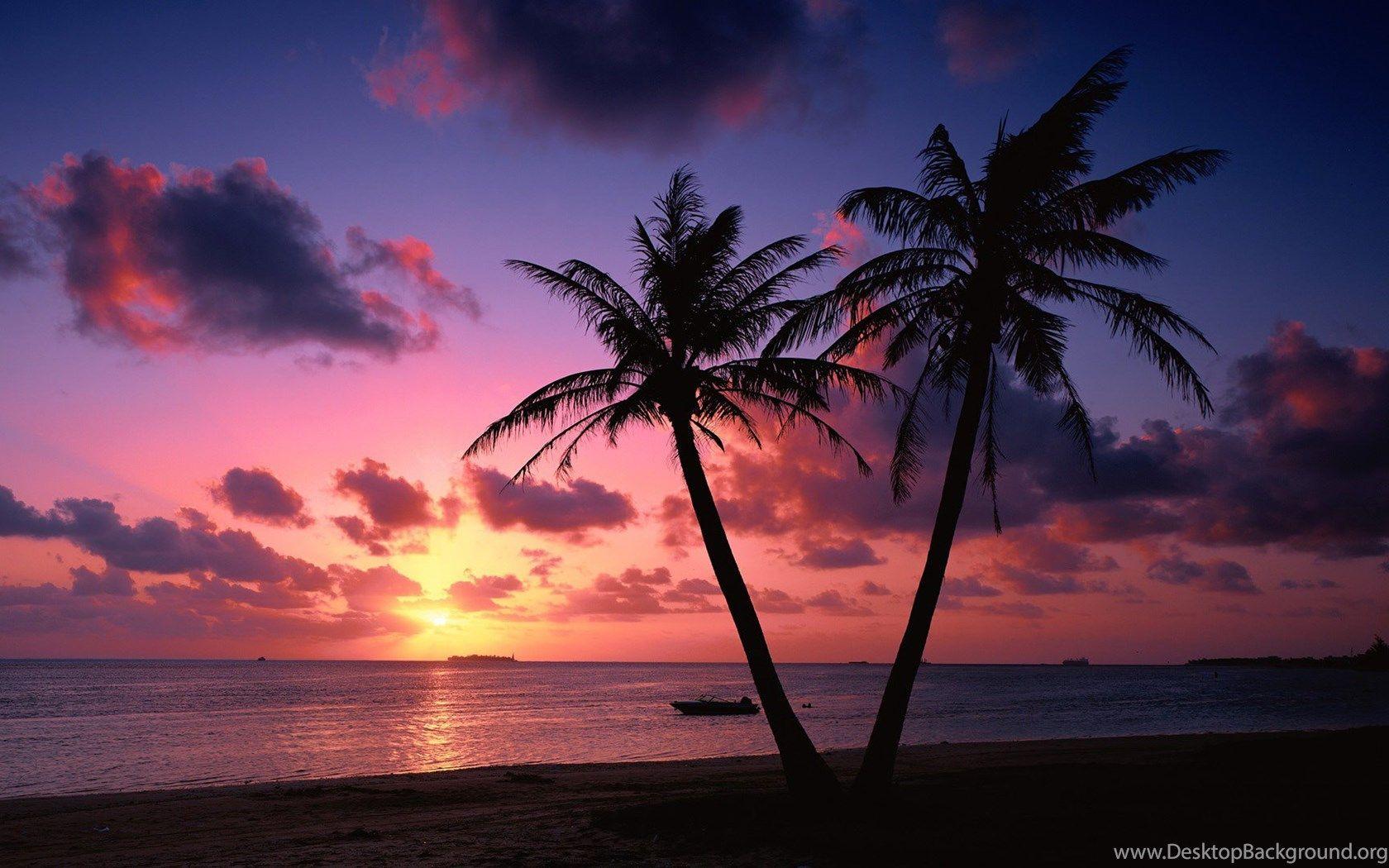 Purple Beach HD Wallpapers - Top Free Purple Beach HD Backgrounds ...