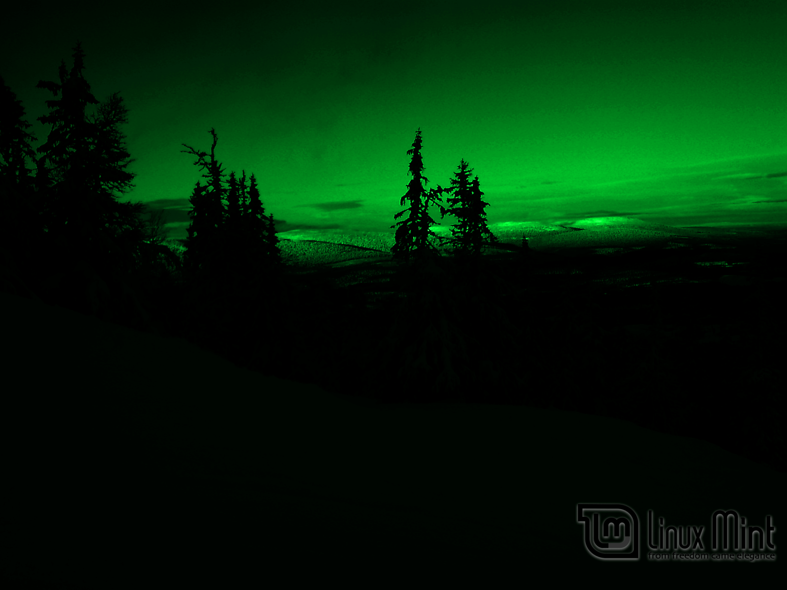 Green Linux Wallpapers - Top Free Green Linux Backgrounds - WallpaperAccess