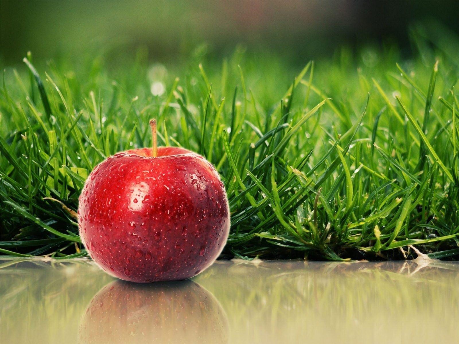 Healthy Lifestyle Wallpapers - Top Free Healthy Lifestyle Backgrounds ...
