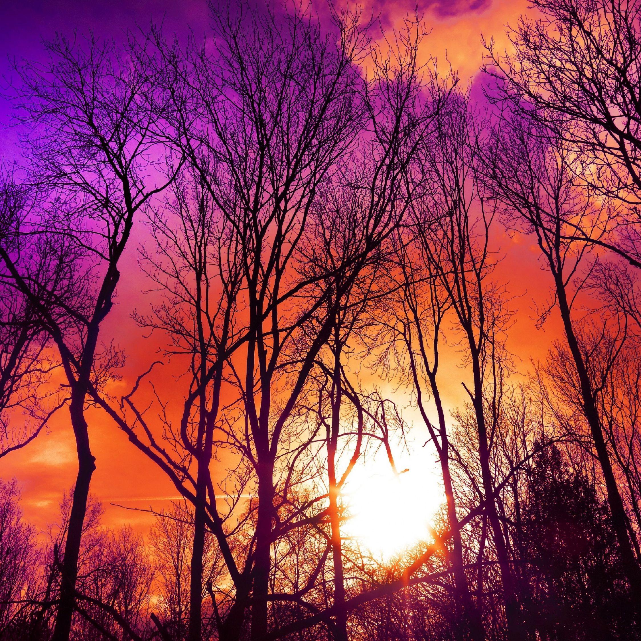 Pink Skyline Wallpapers - Top Free Pink Skyline Backgrounds ...