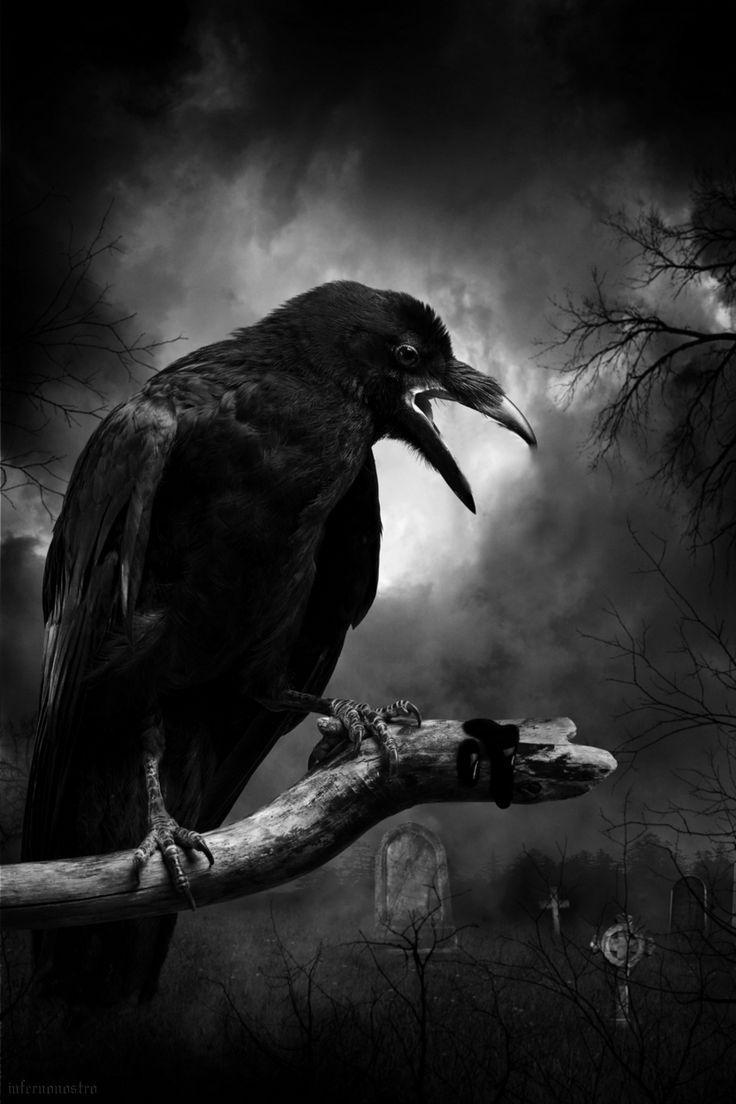 Gothic Crow Wallpapers - Top Free Gothic Crow Backgrounds - WallpaperAccess