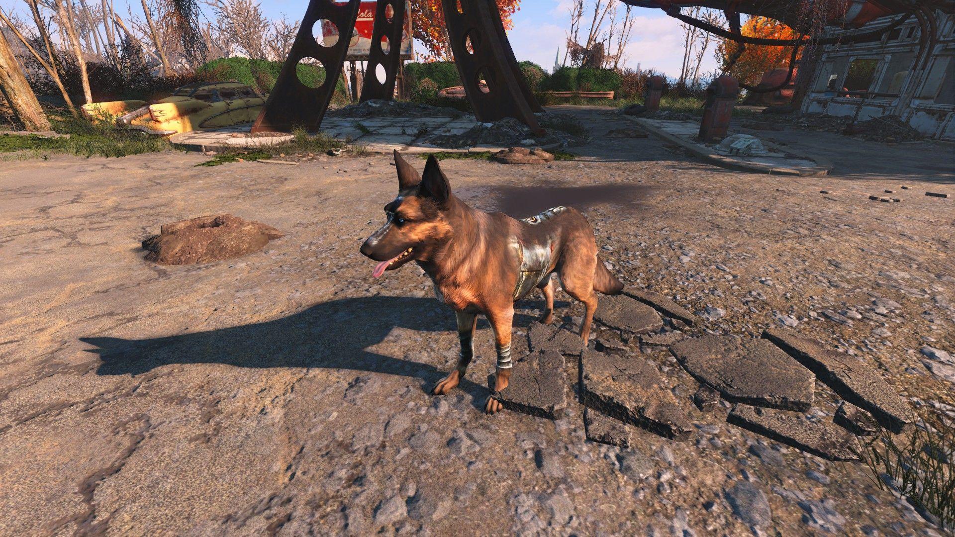 Dog Meat Fallout 4 4K Wallpapers - Top Free Dog Meat Fallout 4 4K ...