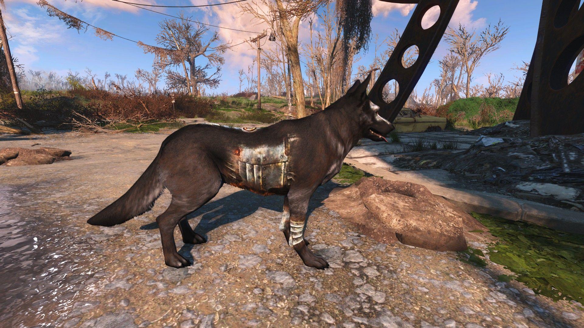 Dog Fallout 3 Wallpaper 1920x1080