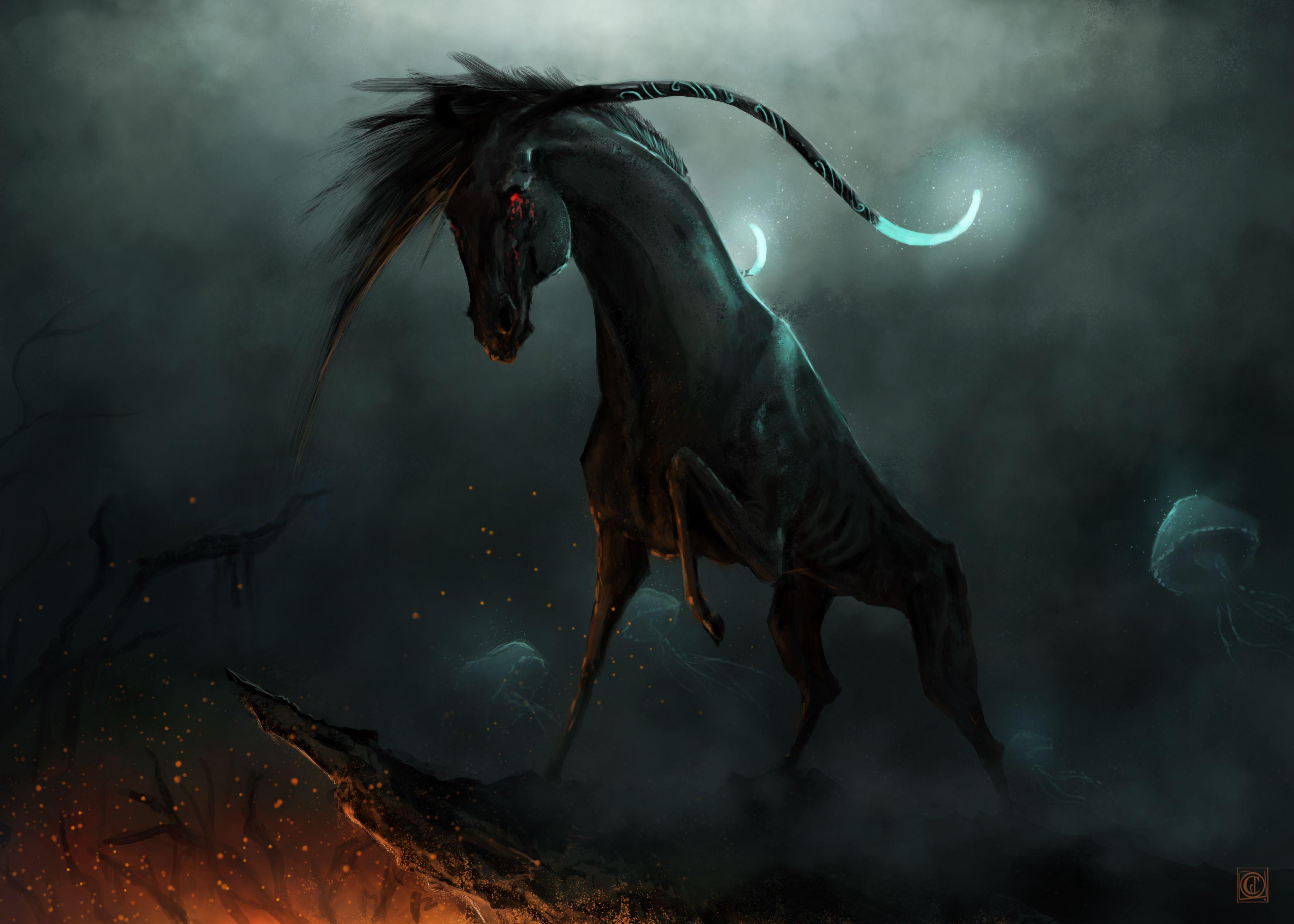 Magical Animal Wallpapers - Top Free Magical Animal Backgrounds ...
