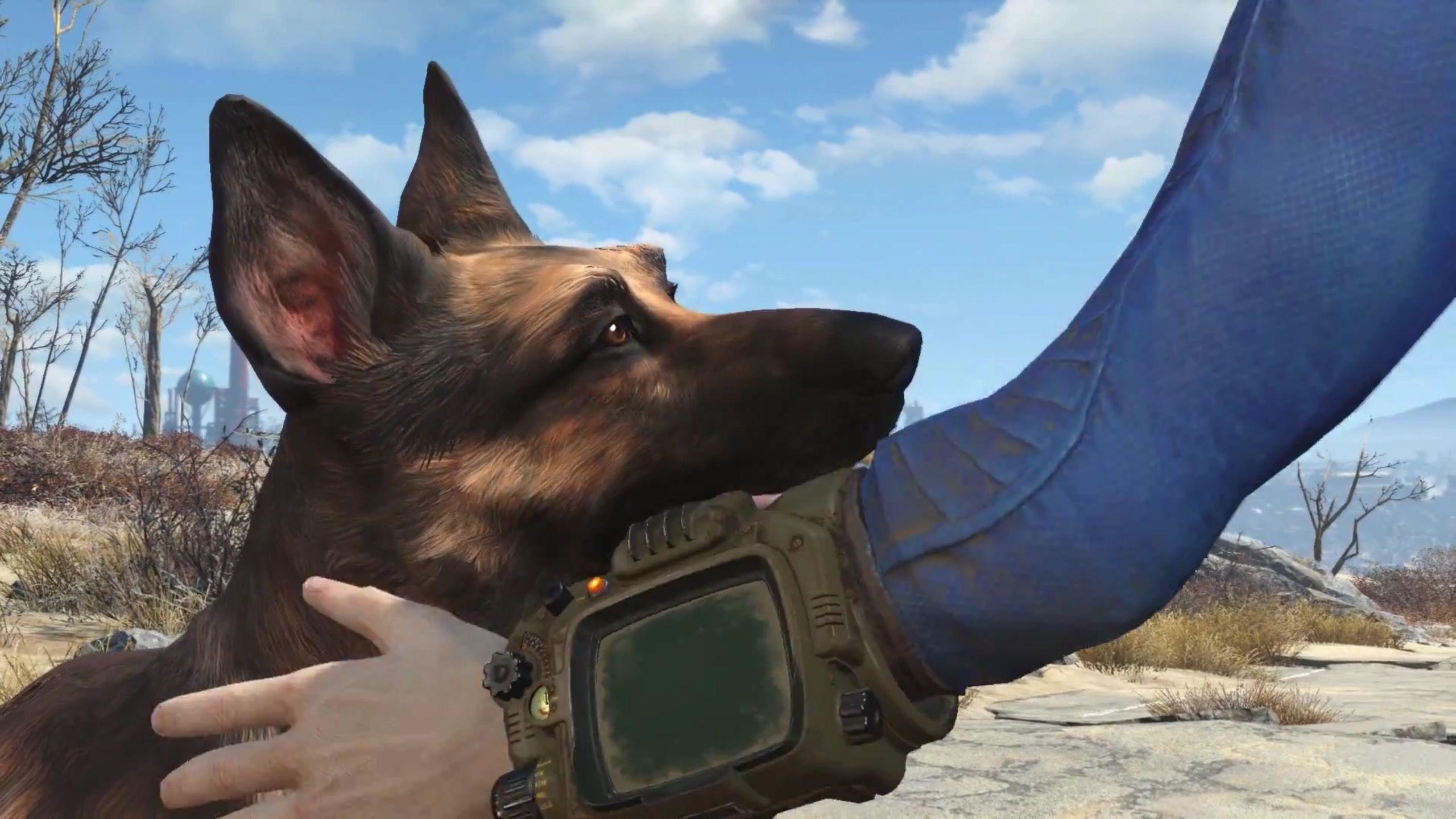 Dog Meat Fallout 4 4K Wallpapers - Top Free Dog Meat Fallout 4 4K ...