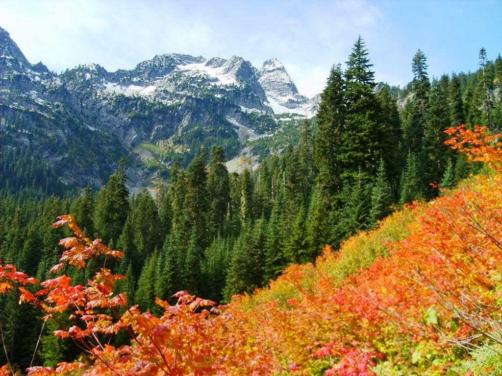 Pacific Northwest Scenery Wallpapers - Top Free Pacific Northwest ...