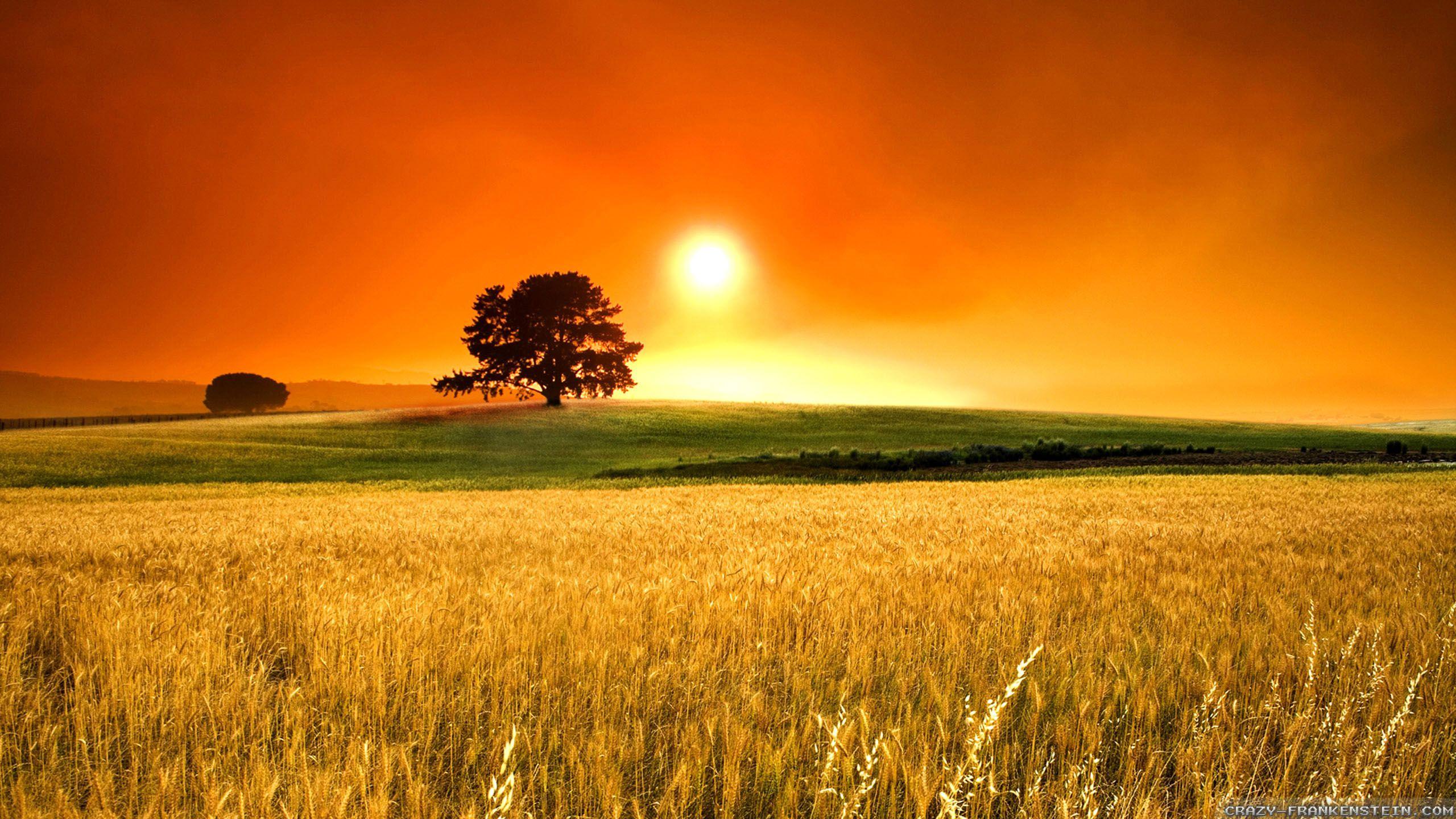 Spring Weather Wallpapers - Top Free Spring Weather Backgrounds ...