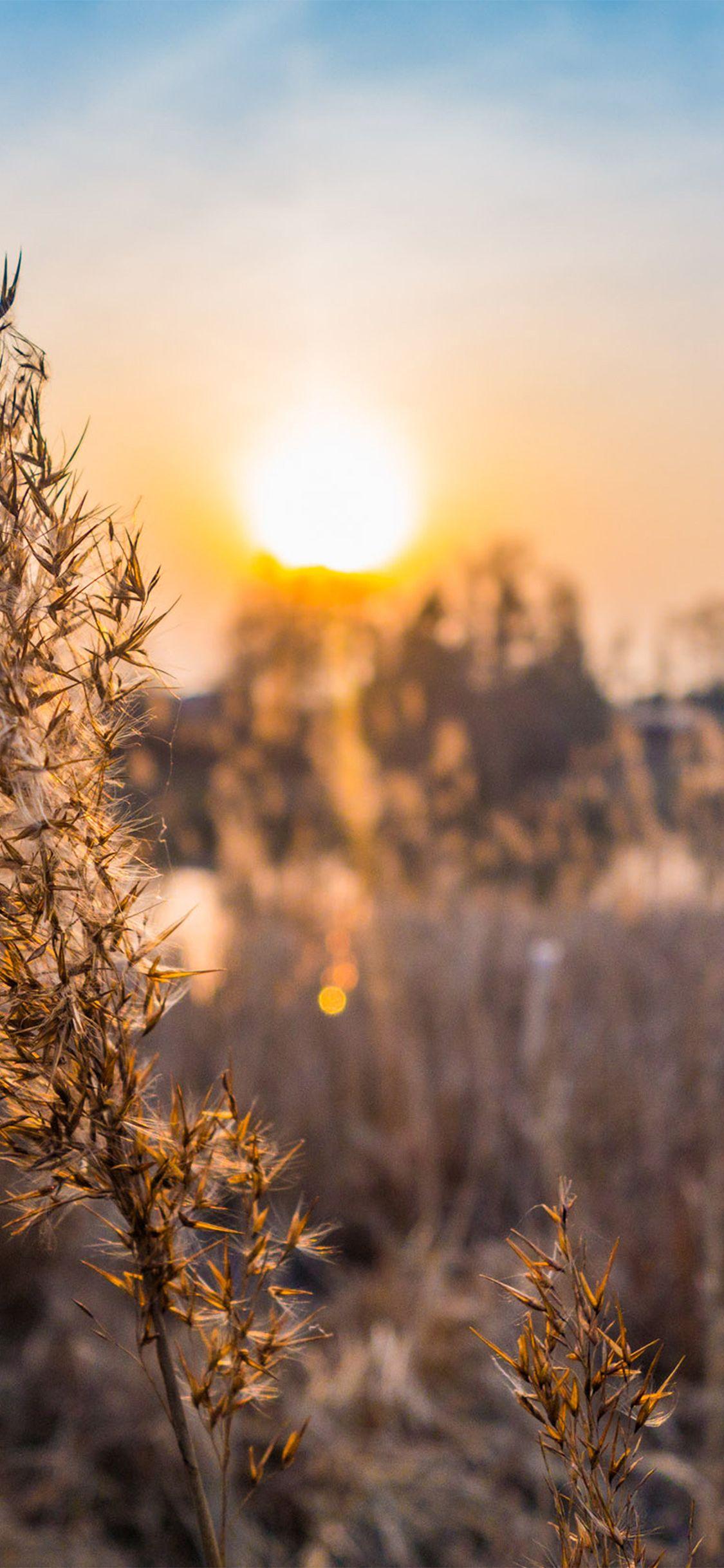 Weather iPhone Wallpapers - Top Free Weather iPhone Backgrounds ...