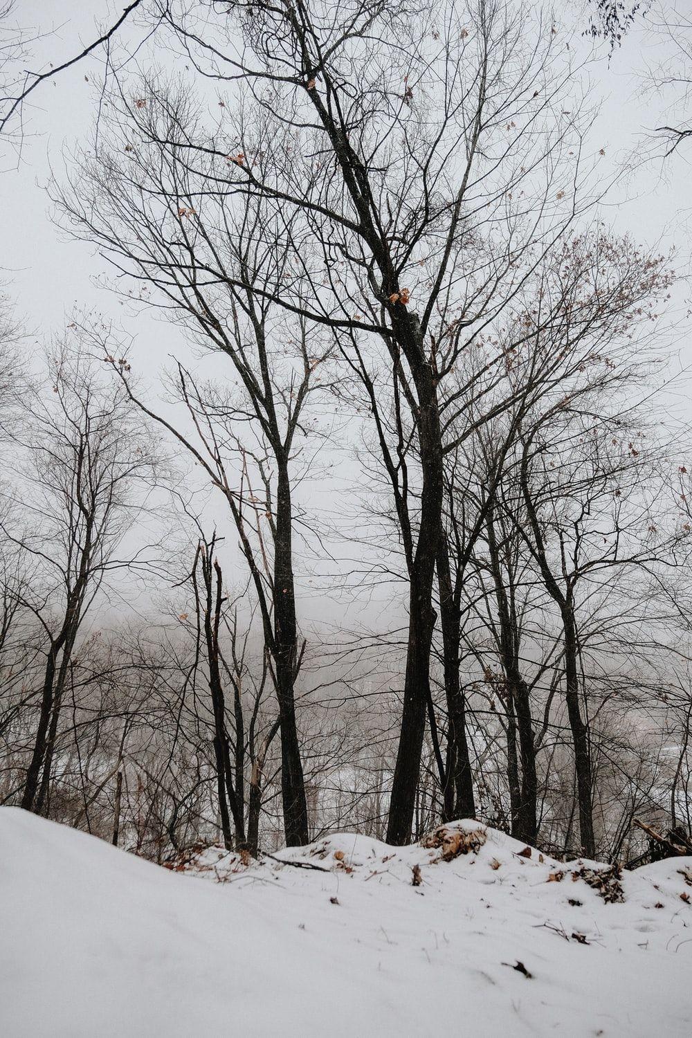 Winter Weather Wallpapers - Top Free Winter Weather Backgrounds ...