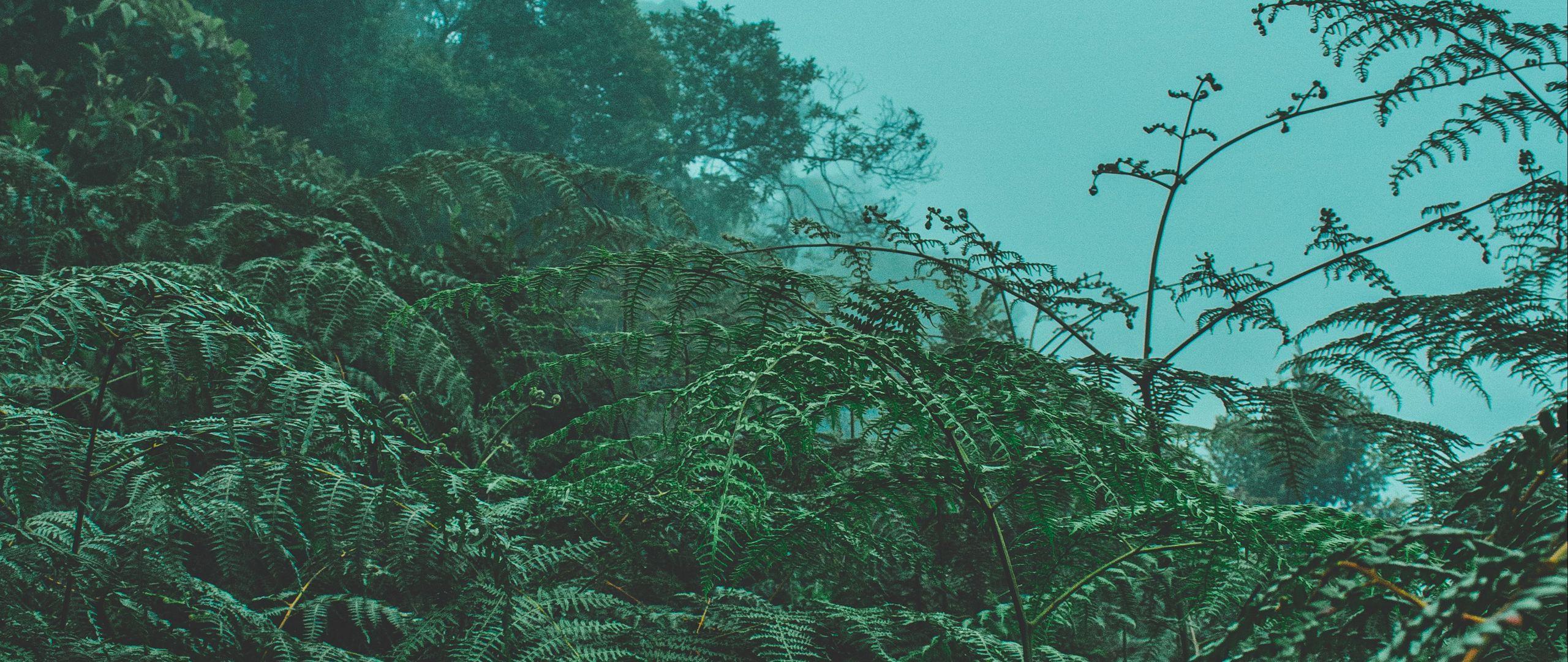 Plant Biology Wallpapers - Top Free Plant Biology Backgrounds ...