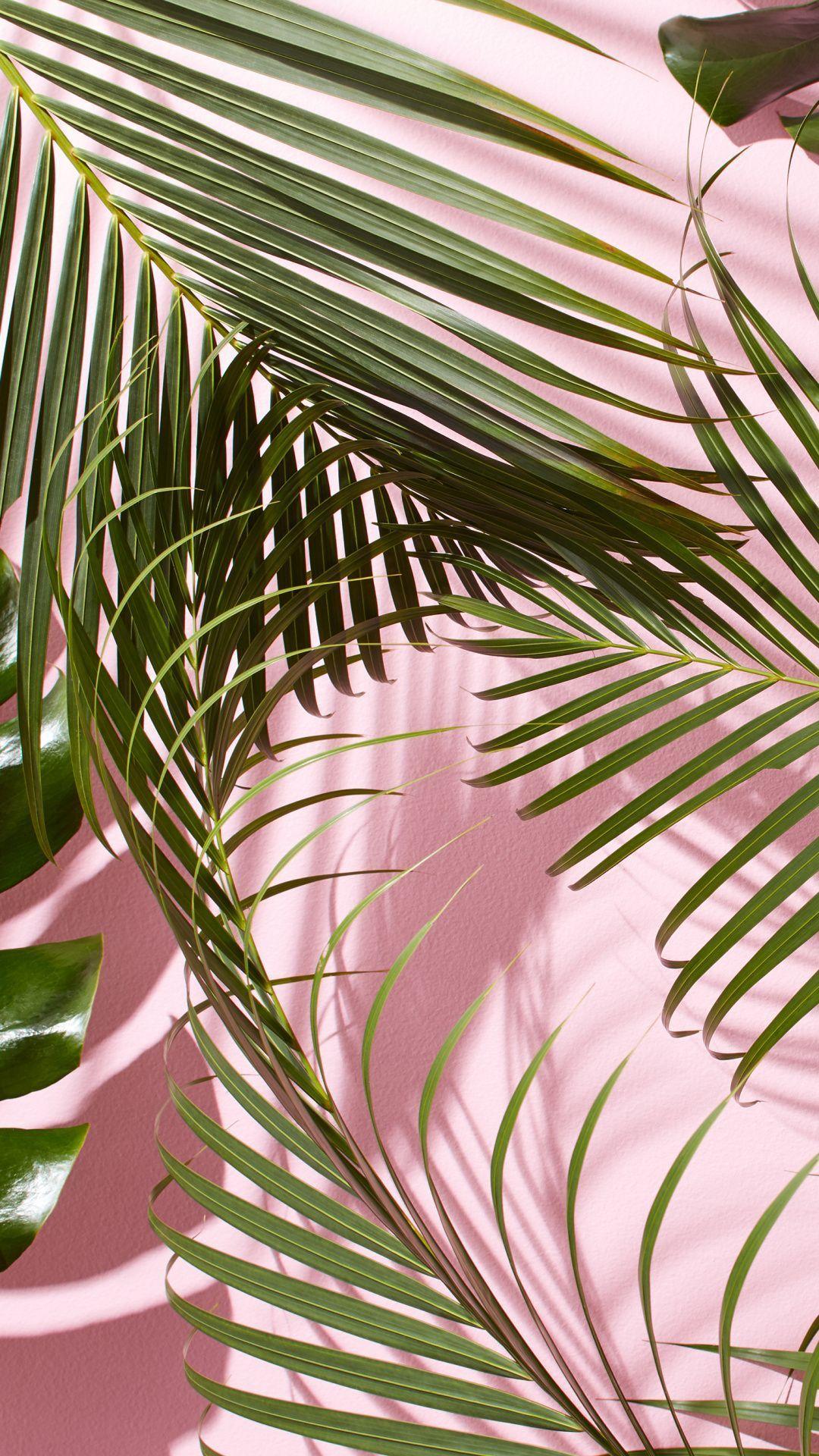 Plant Biology Wallpapers - Top Free Plant Biology Backgrounds ...